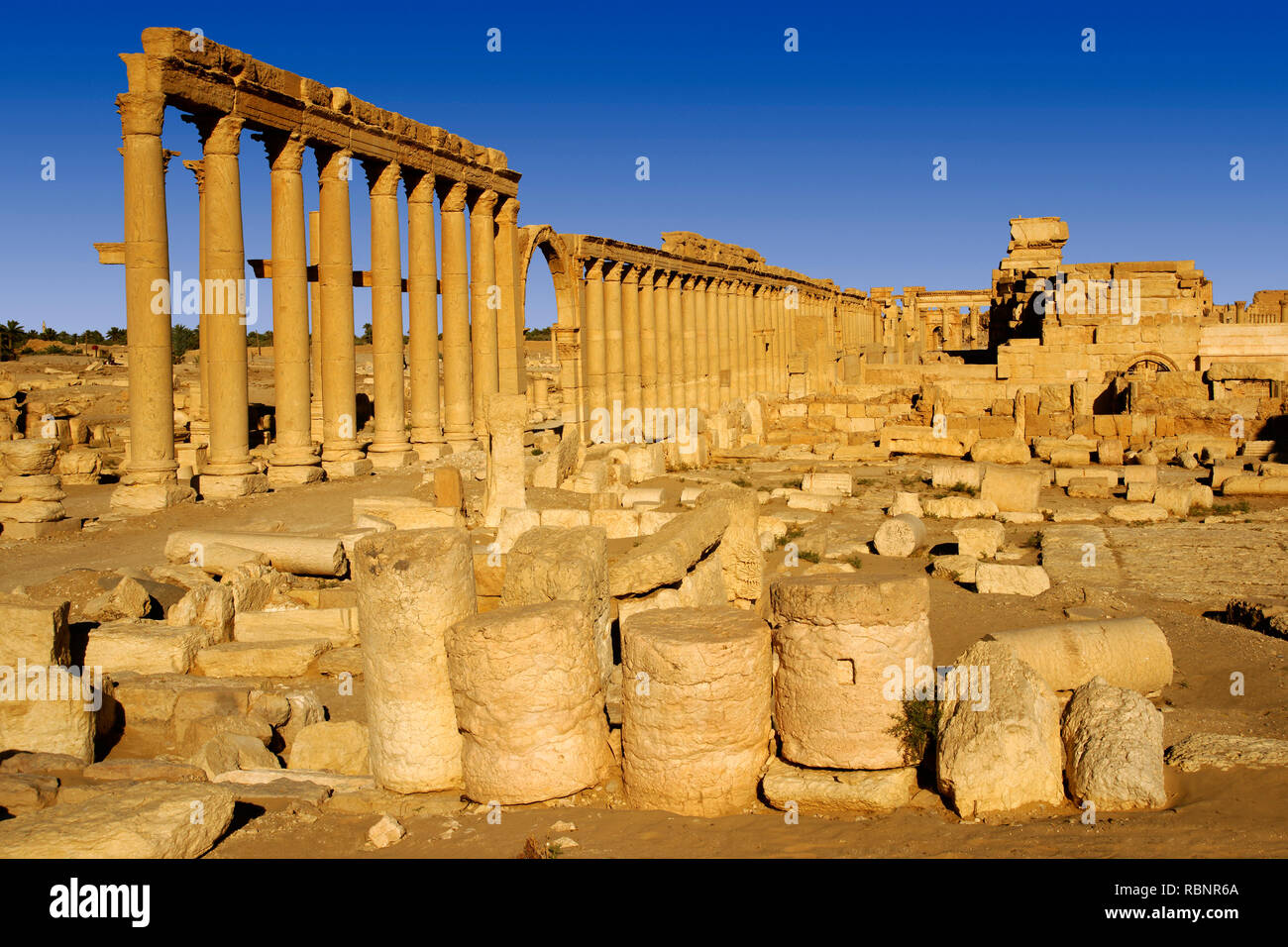 Ruins of the old Greco Roman city of Palmyra. Syria, Middle East Stock ...