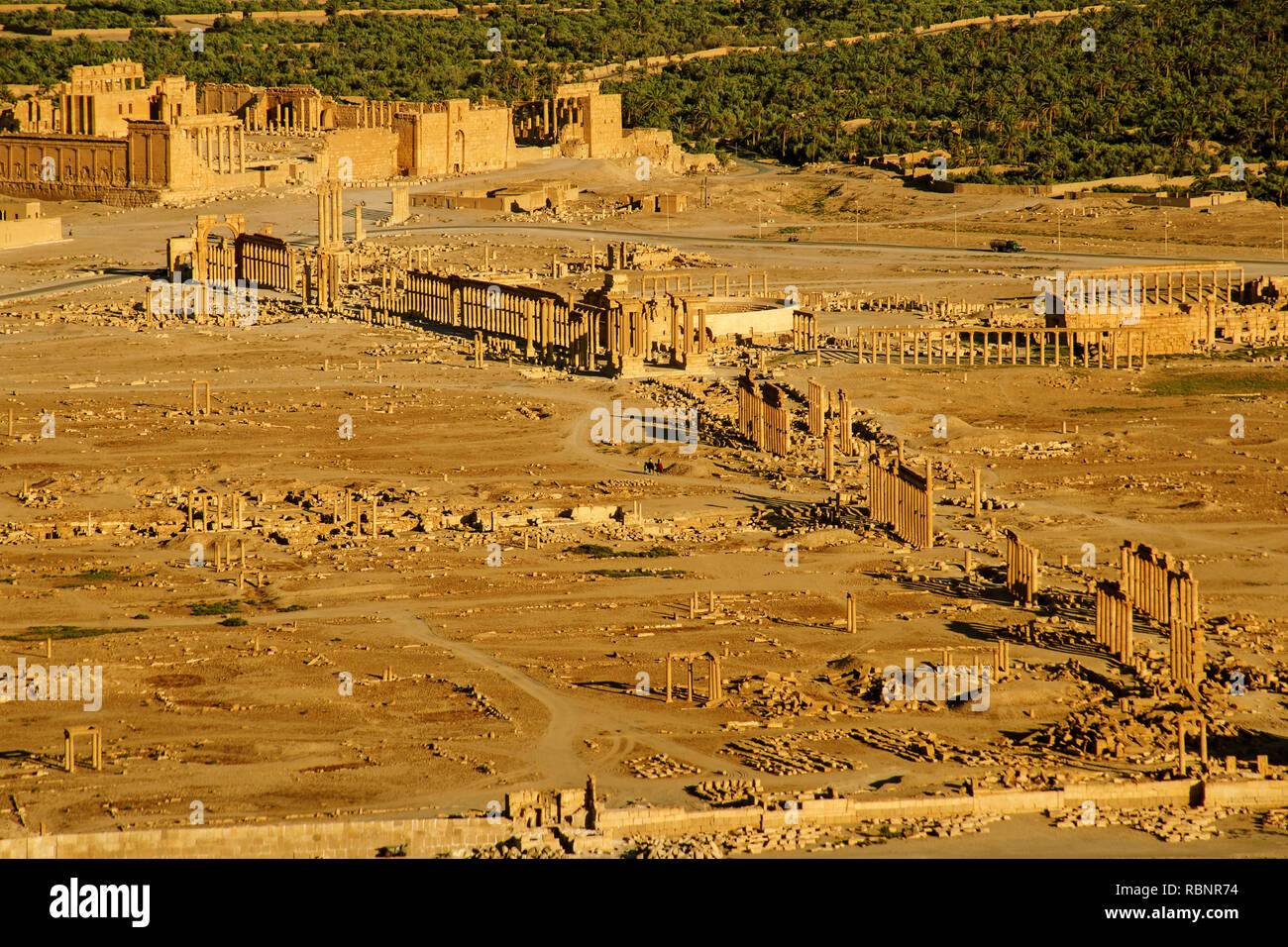 Ruins of the old Greco Roman city of Palmyra. Syria, Middle East Stock ...