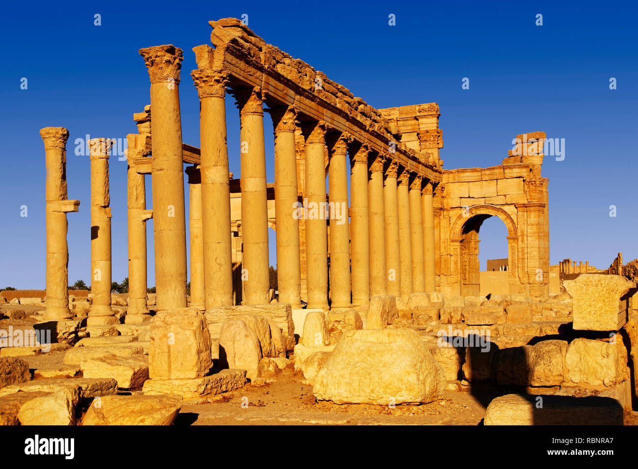 Ruins of the old Greco Roman city of Palmyra. Syria, Middle East Stock ...