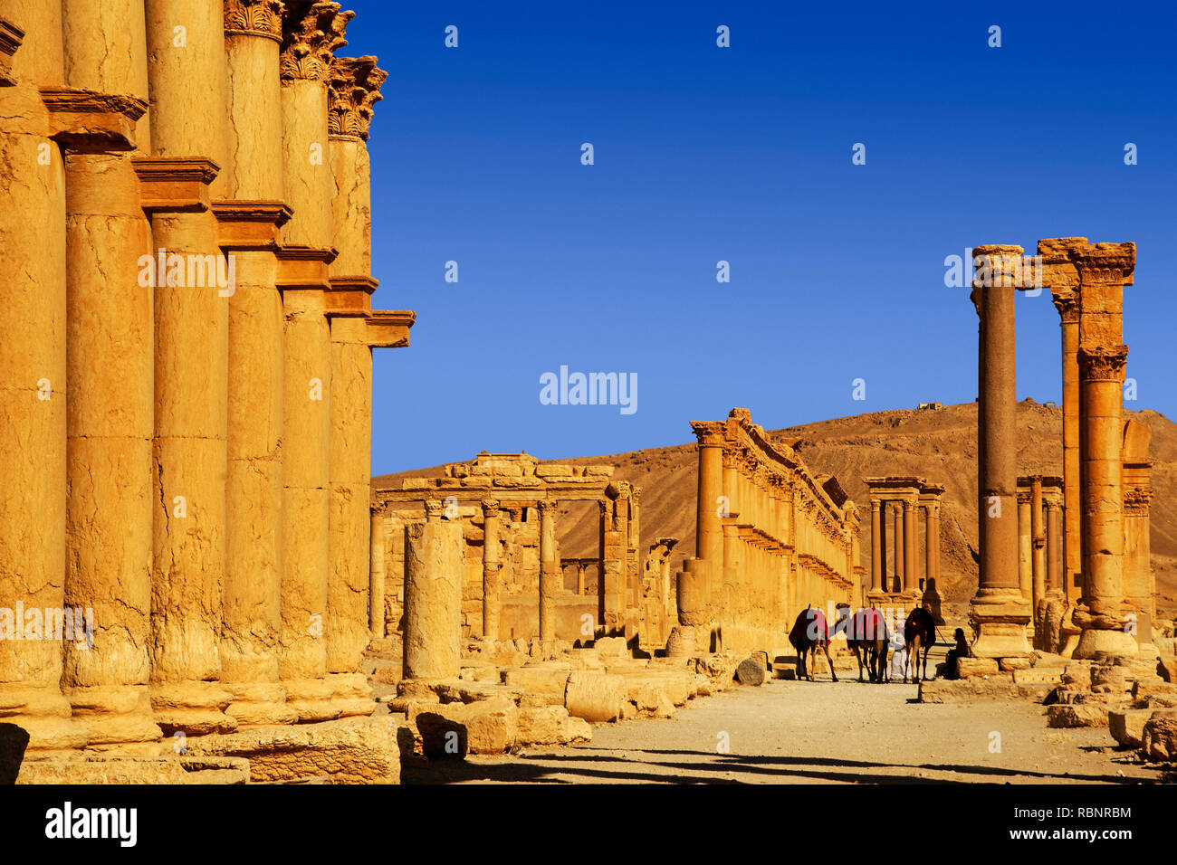 Greco roman art and architecture hi-res stock photography and images ...