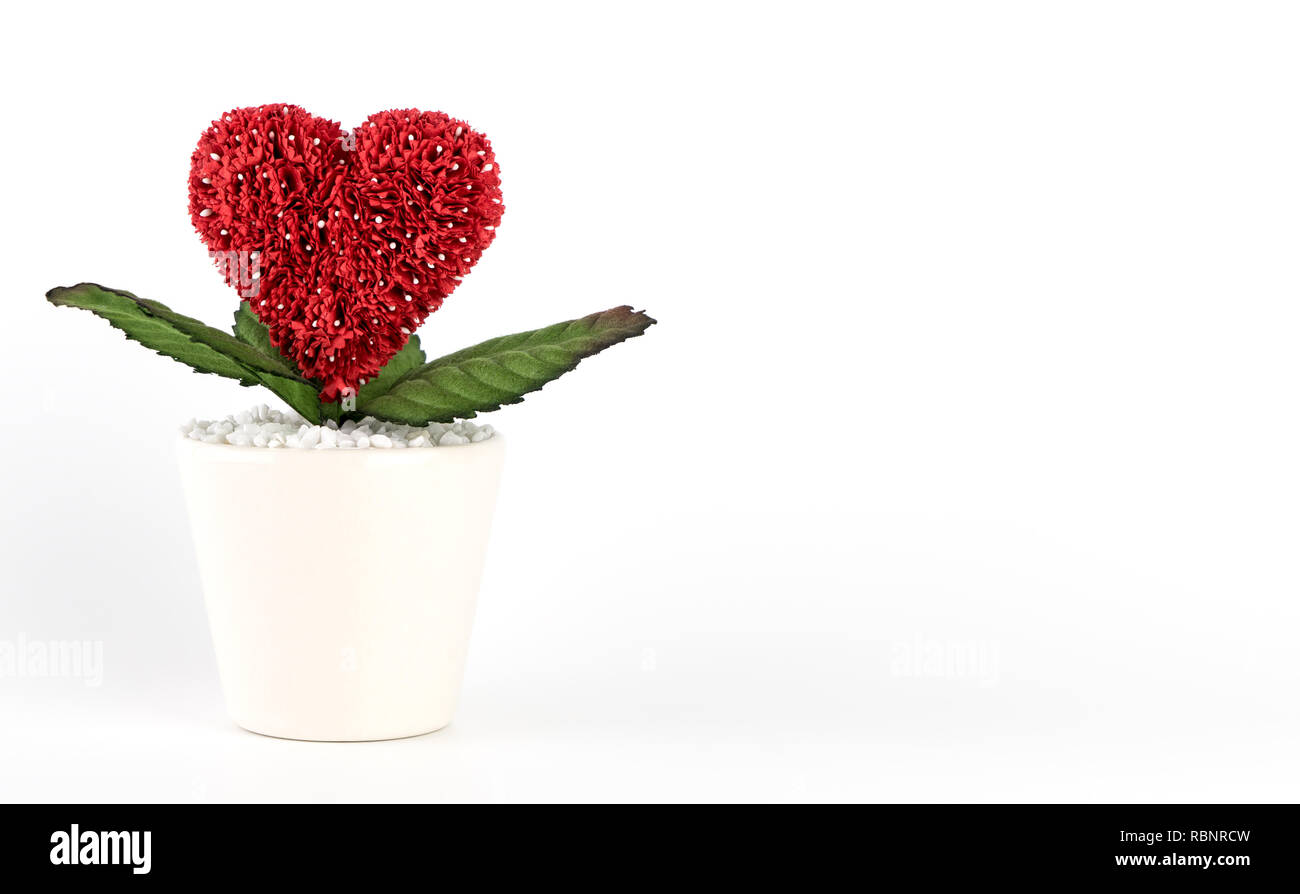 Red Heart flower plant isolated on white background Stock Photo - Alamy