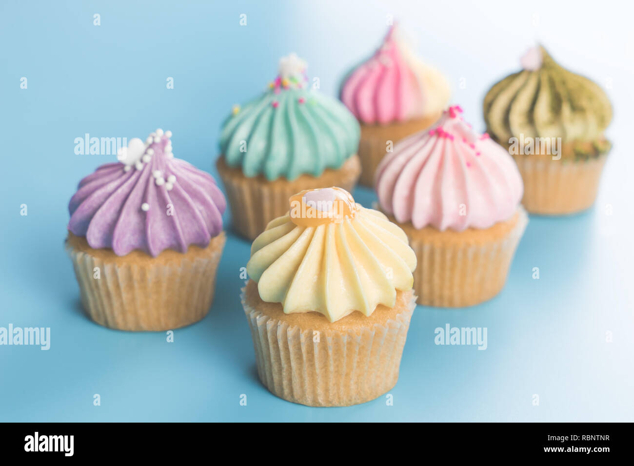 Colorful Pastel Cupcake on blue pastel background Stock Photo - Alamy
