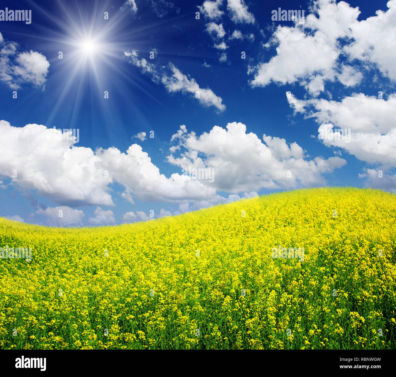 spring field and the beautiful blue sky Stock Photo - Alamy