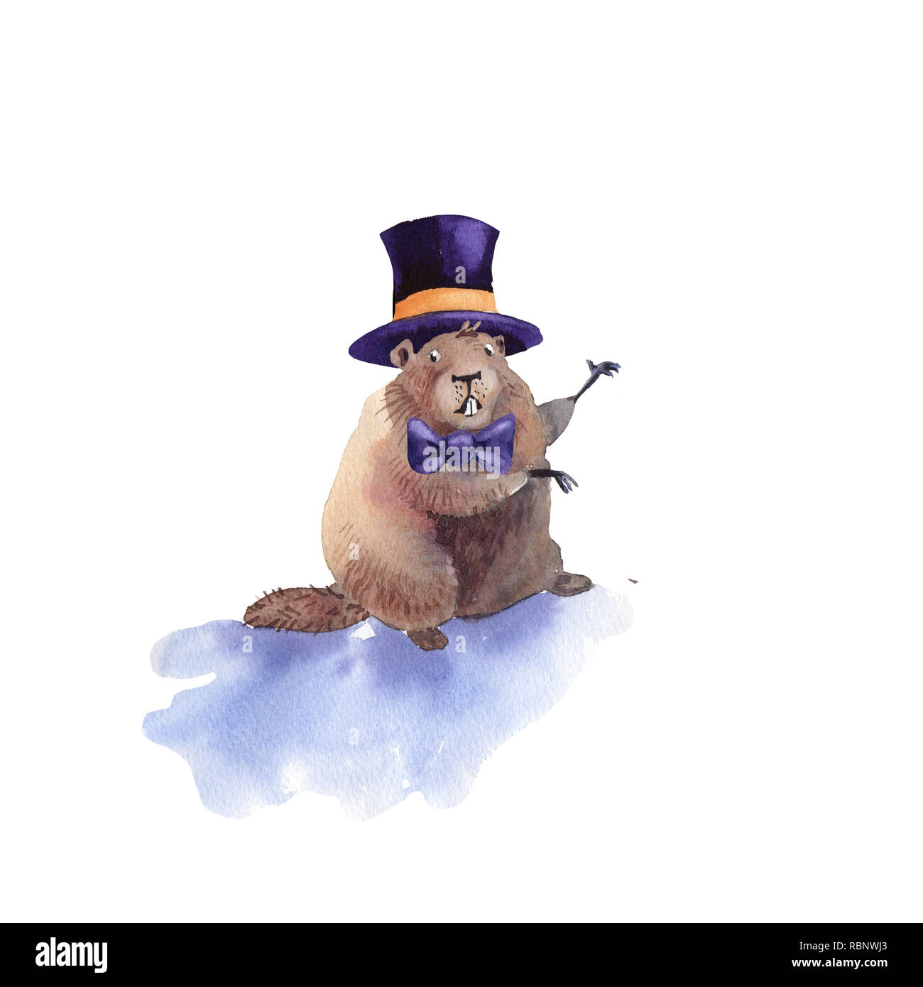 Happy Groundhog Day - hand drawn watercolor illustration groundhog card ...