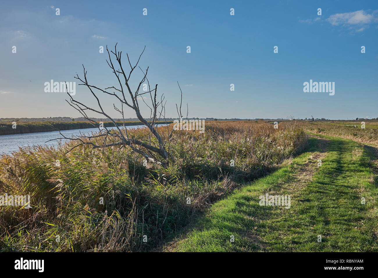 English river scene hi-res stock photography and images - Alamy