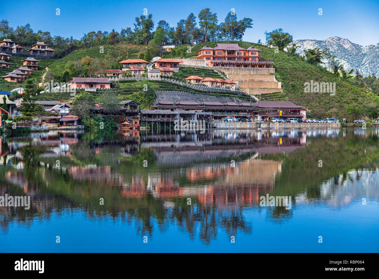 Ban hong forest hi-res stock photography and images - Alamy