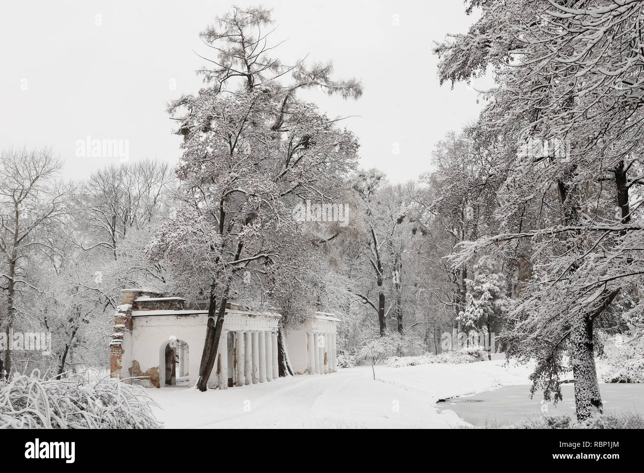 Architectural monument "Ruins" in the park "Alexandria", Ukraine Stock ...