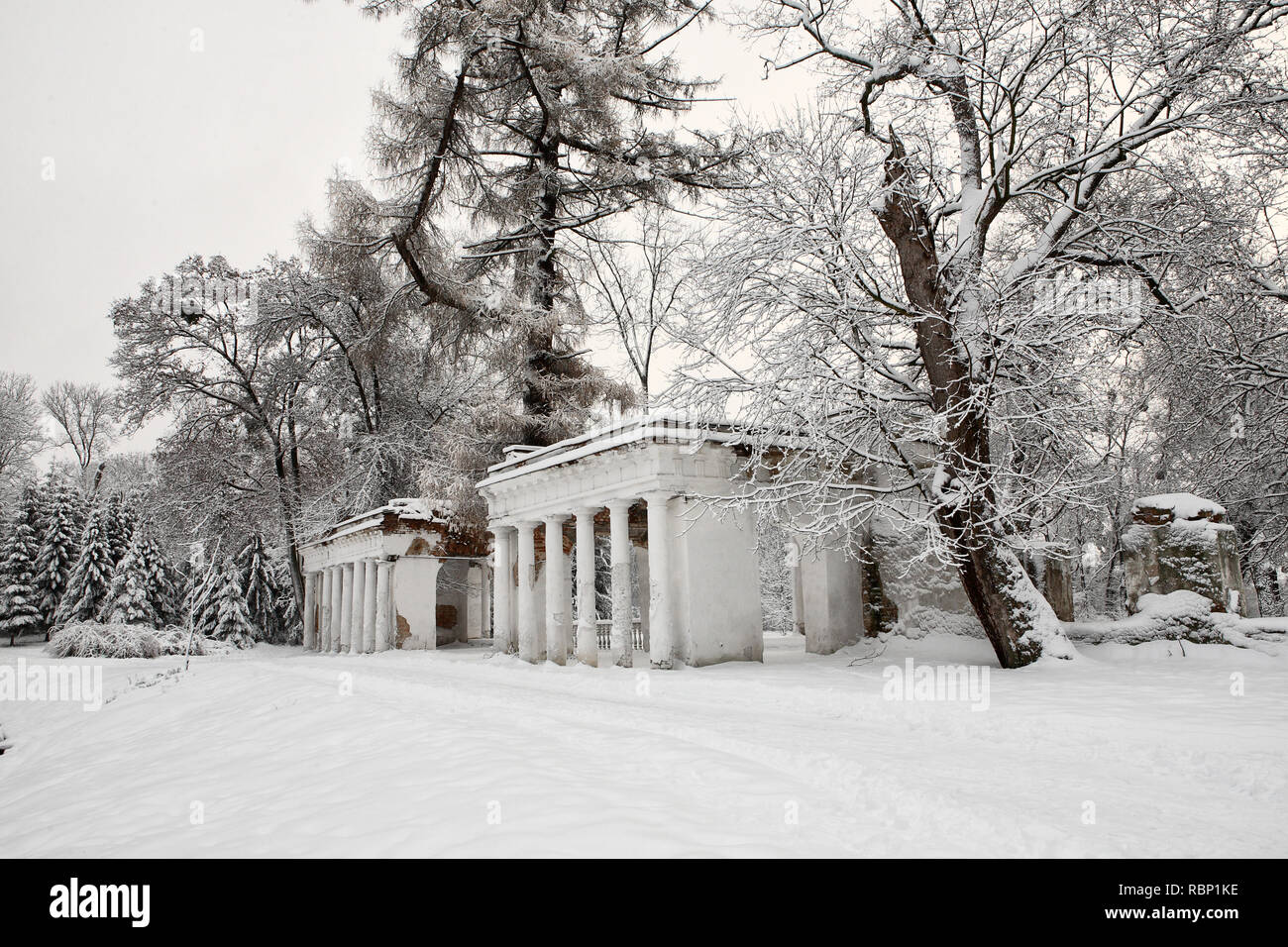 Architectural monument "Ruins" in the park "Alexandria", Ukraine Stock ...
