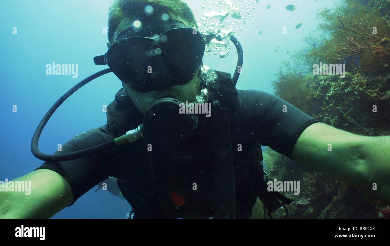 Scuba diver explores underwater coral reef and watching fish.Scuba ...