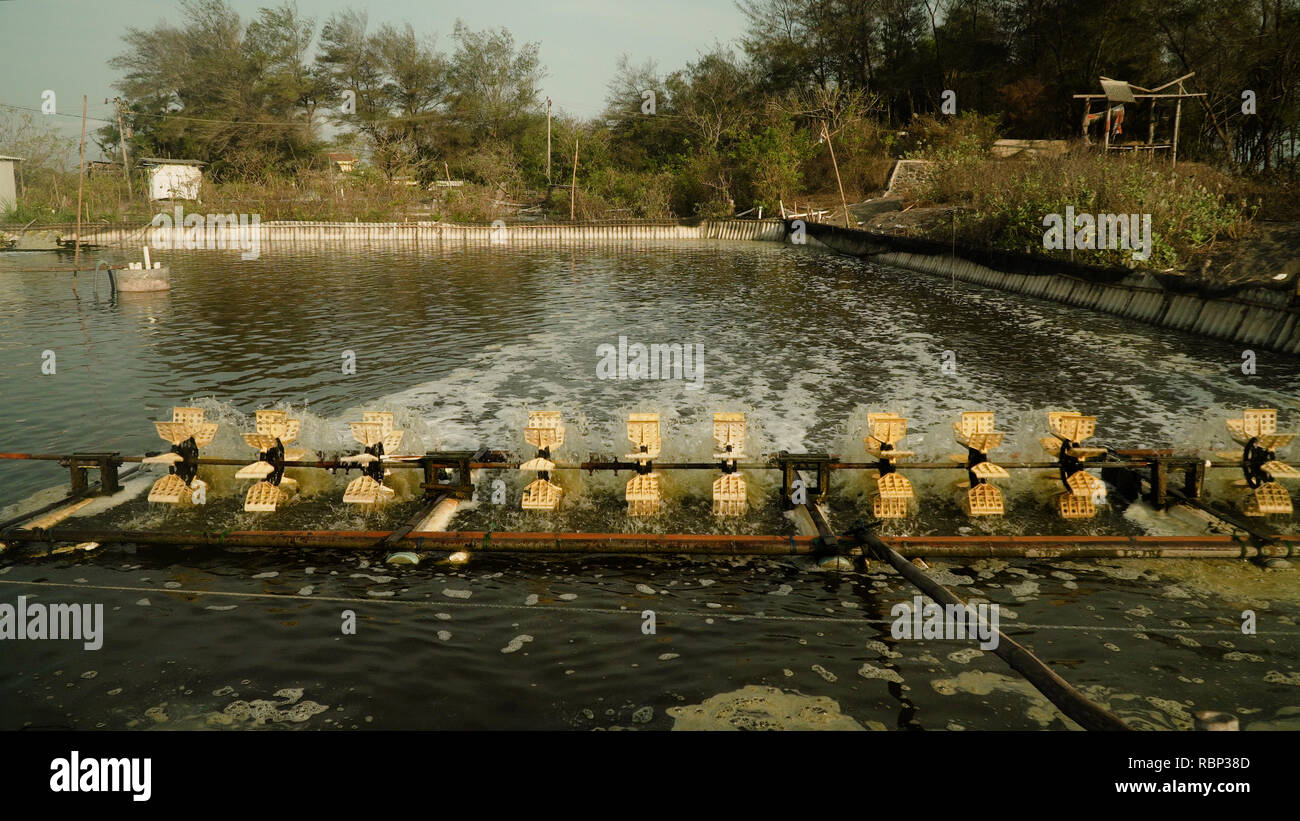 shrimp, prawn farming with with aerator pump for oxygenation water near ...