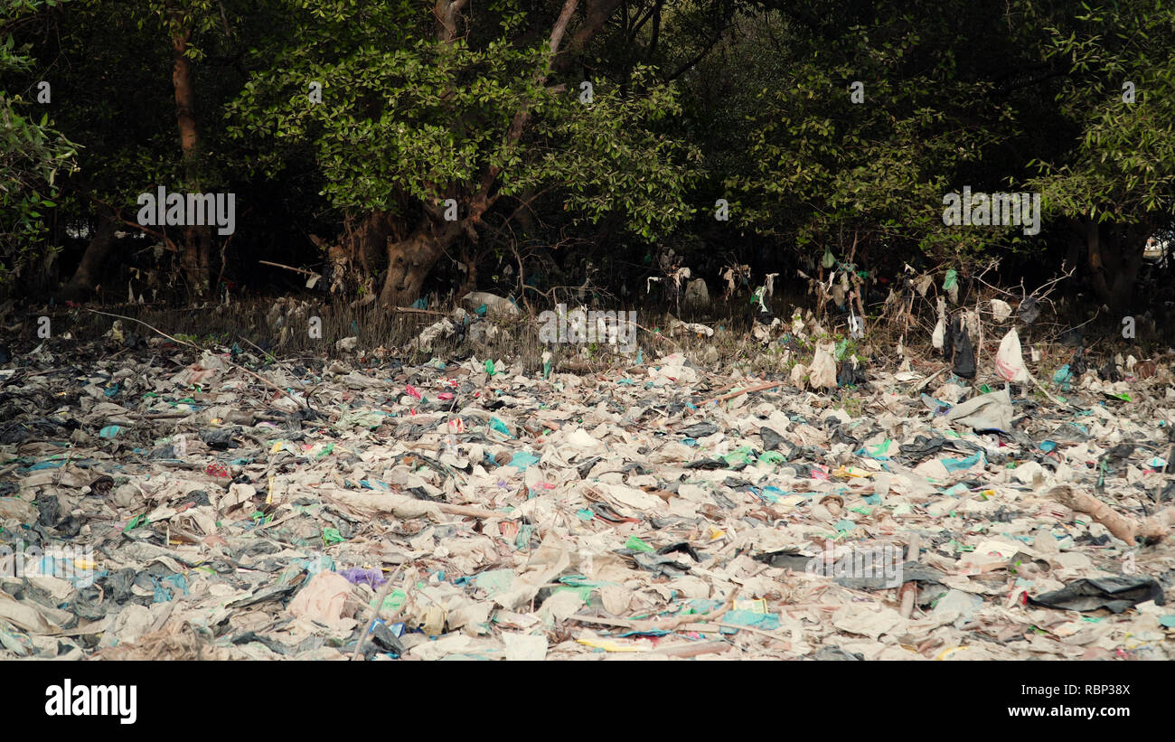 Garbage environmental pollution in mangrove ecological problem in asia ...