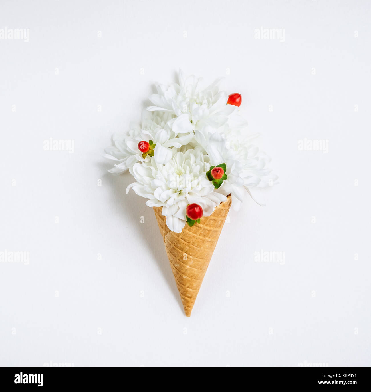 Ice cream cone flower hi-res stock photography and images - Alamy