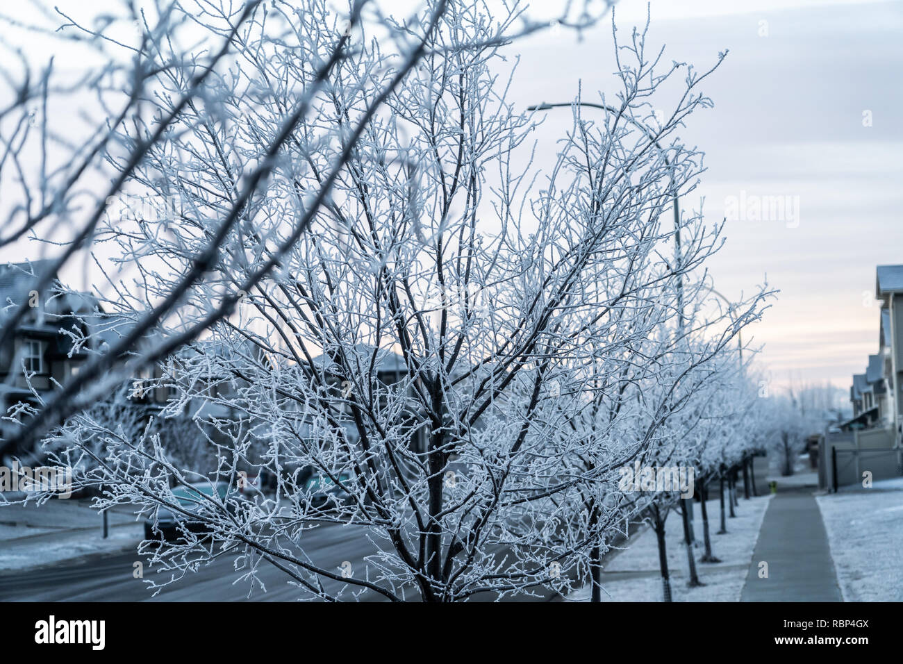 Urban cold snap hi-res stock photography and images - Alamy