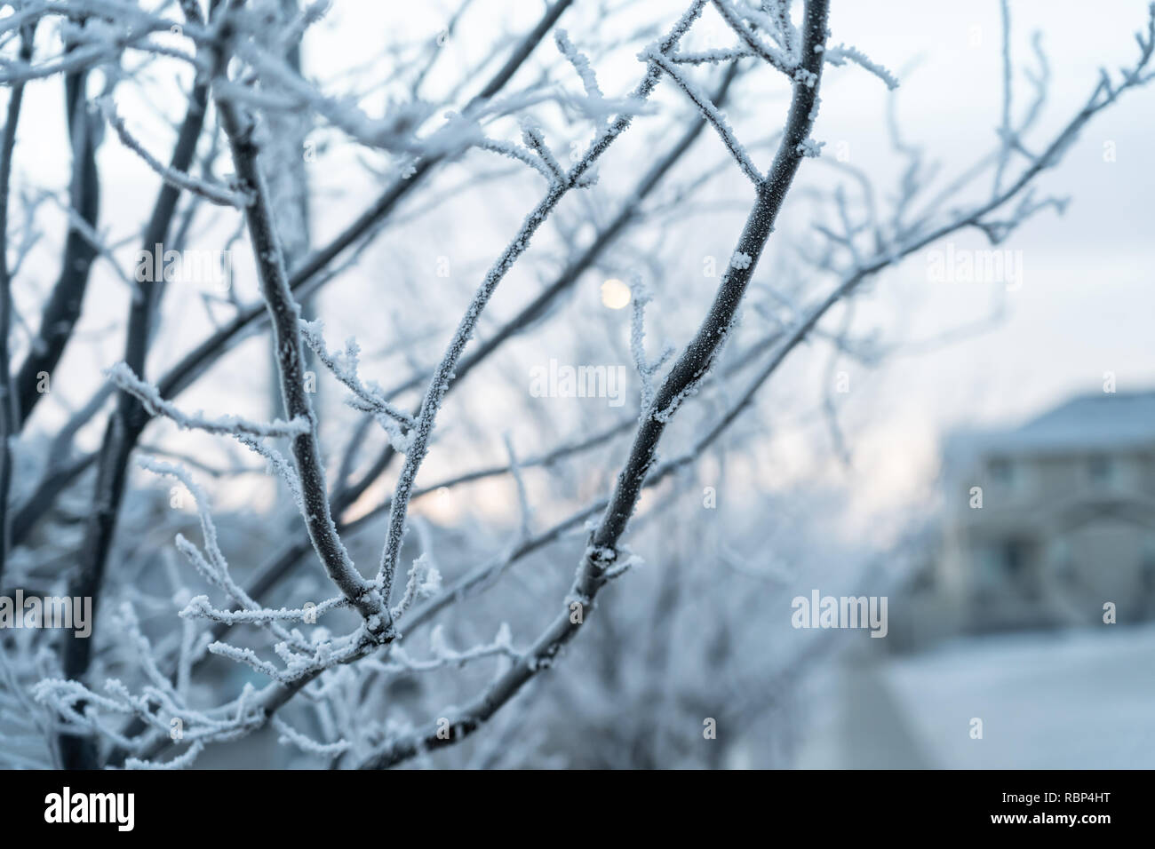 Urban cold snap hi-res stock photography and images - Alamy