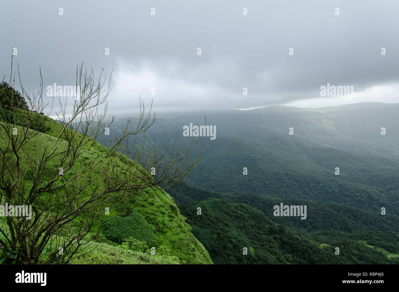 Western ghats india forest hi-res stock photography and images - Alamy