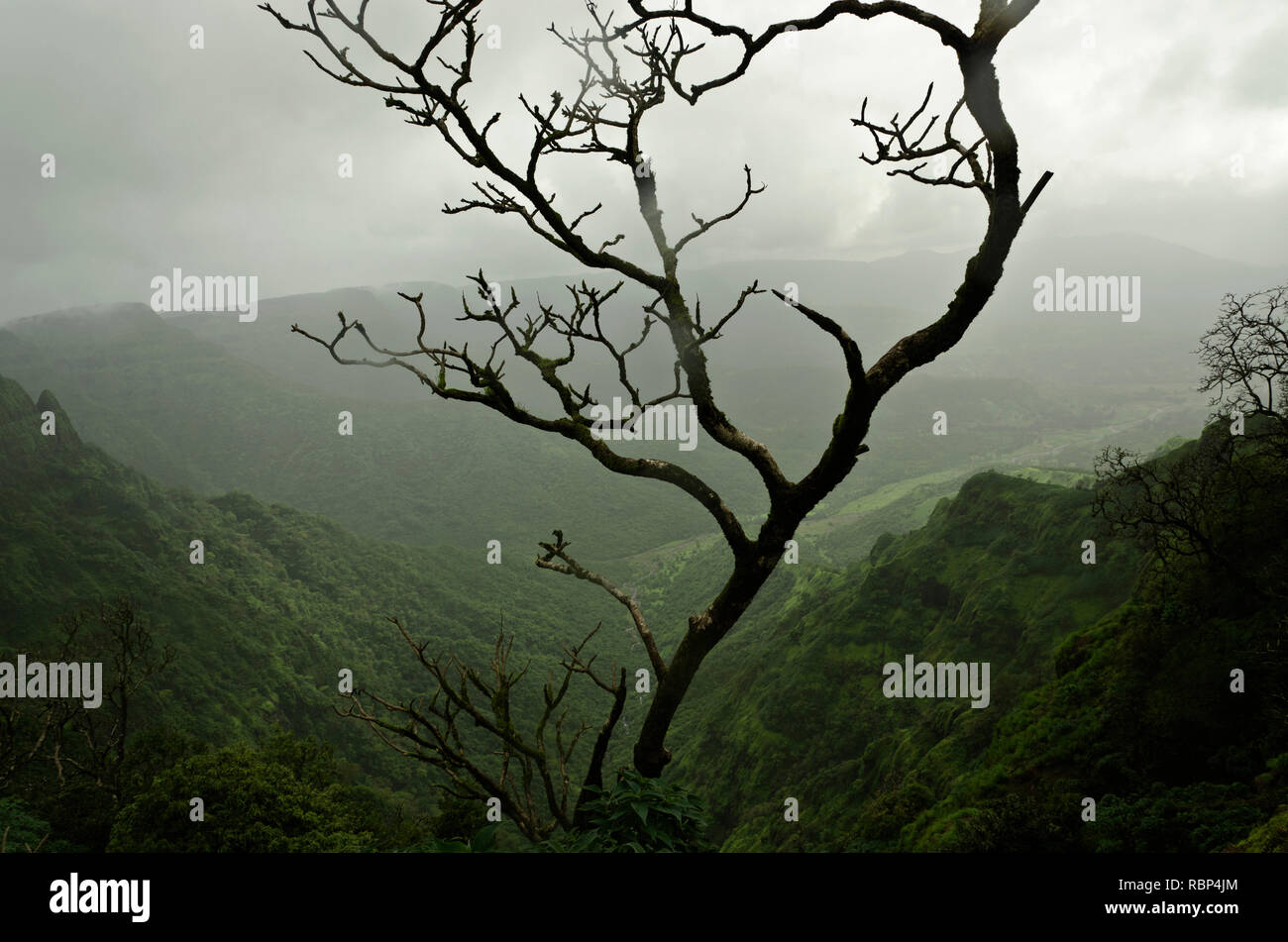 Darshan point, Amba Ghat, Shahuwadi, Kolhapur, Maharashtra, India Asia ...