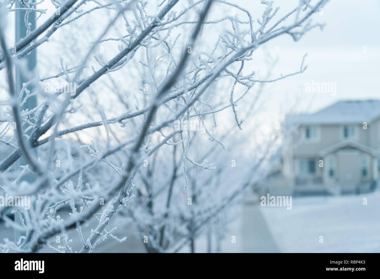 Cold street city hi-res stock photography and images - Alamy