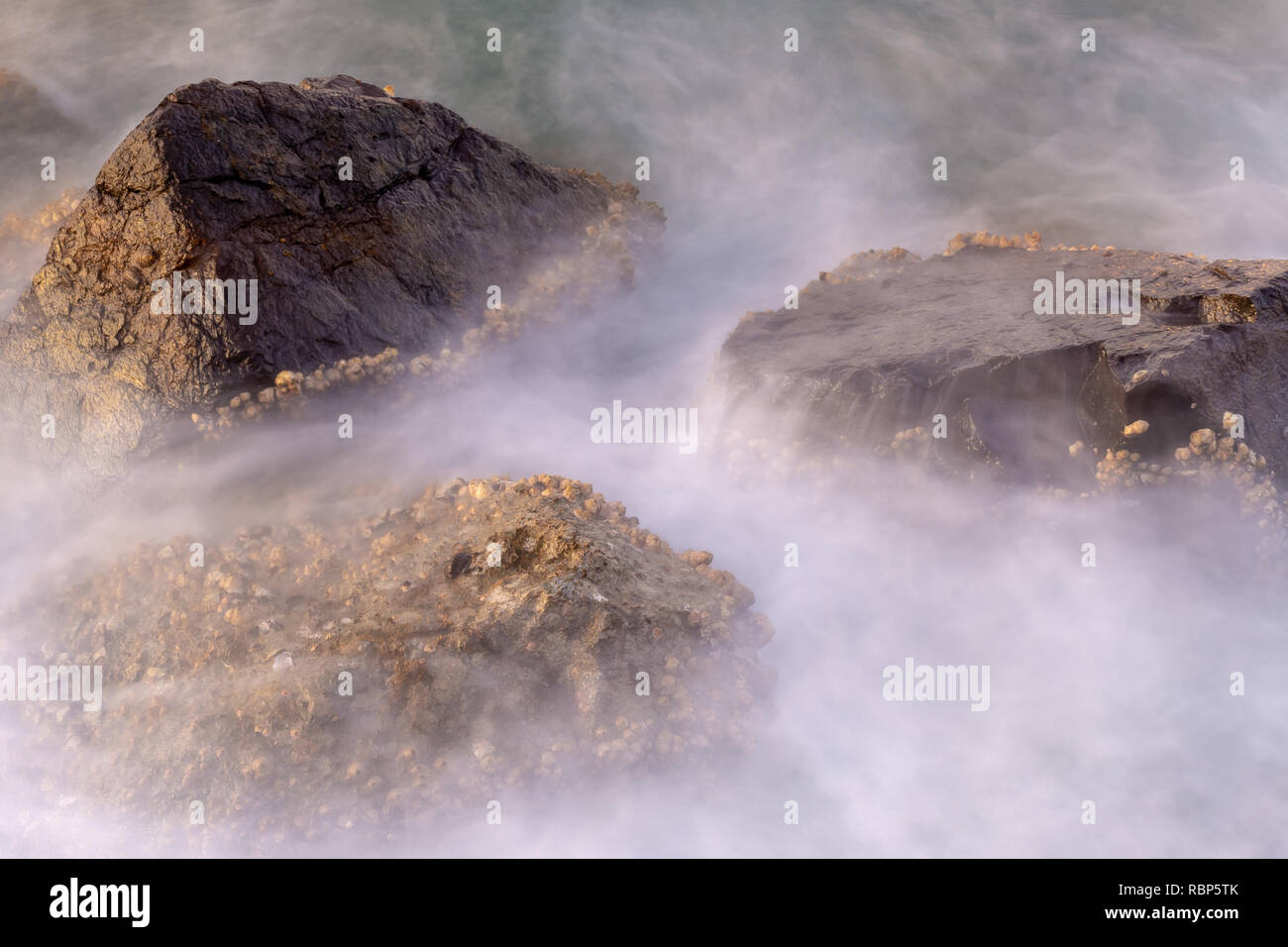 The wave muscat hi-res stock photography and images - Alamy