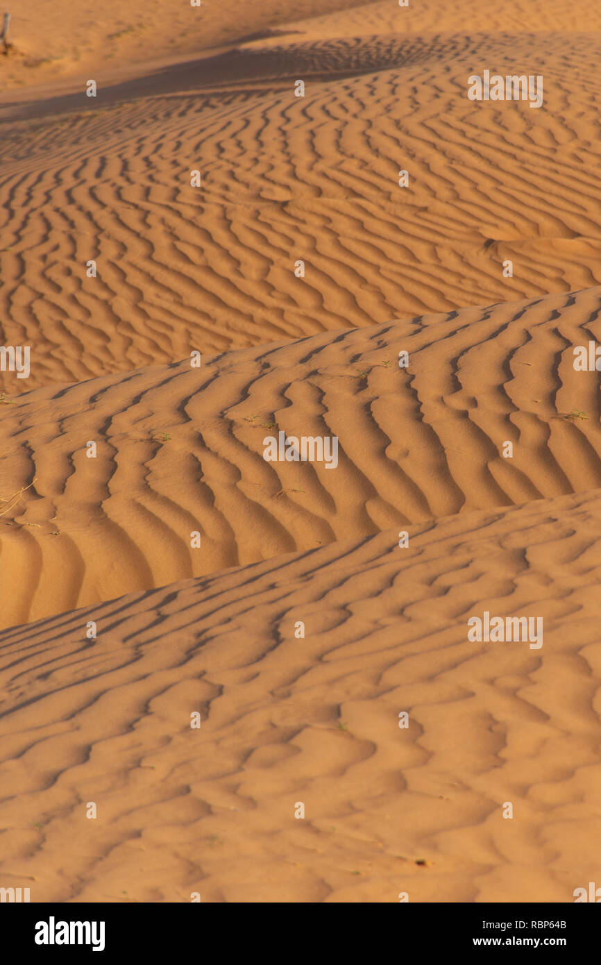 Rippling sand dunes background in the beautiful sunshine Stock Photo ...