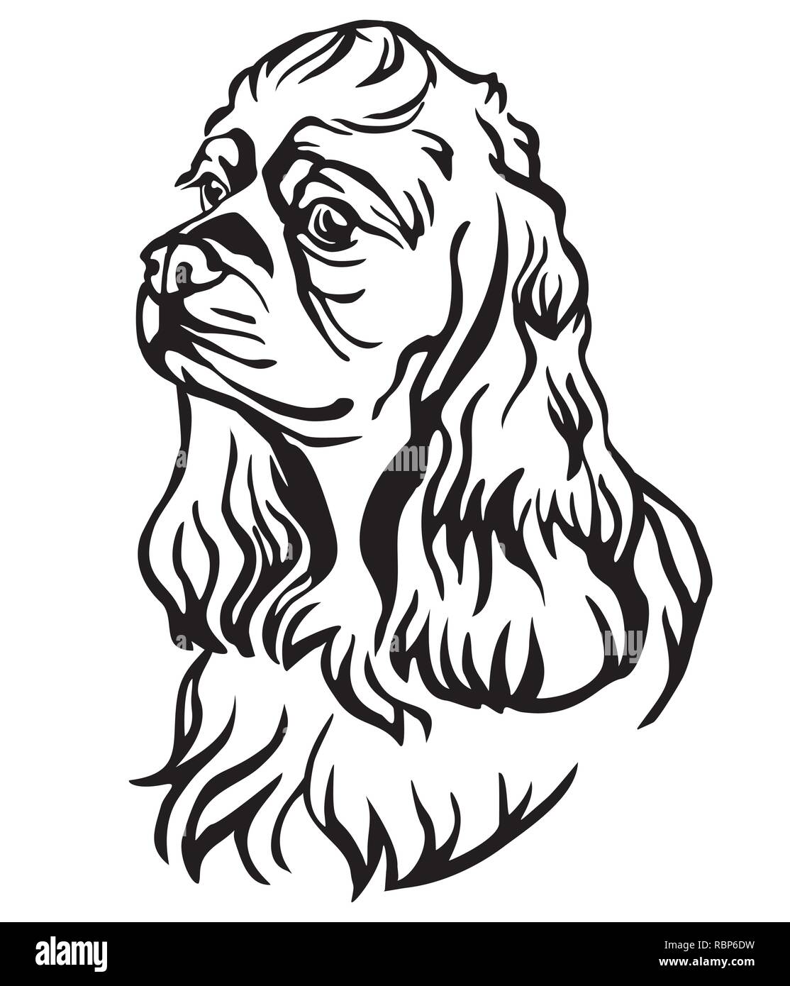 Decorative portrait of Dog American Cocker Spaniel, vector isolated ...