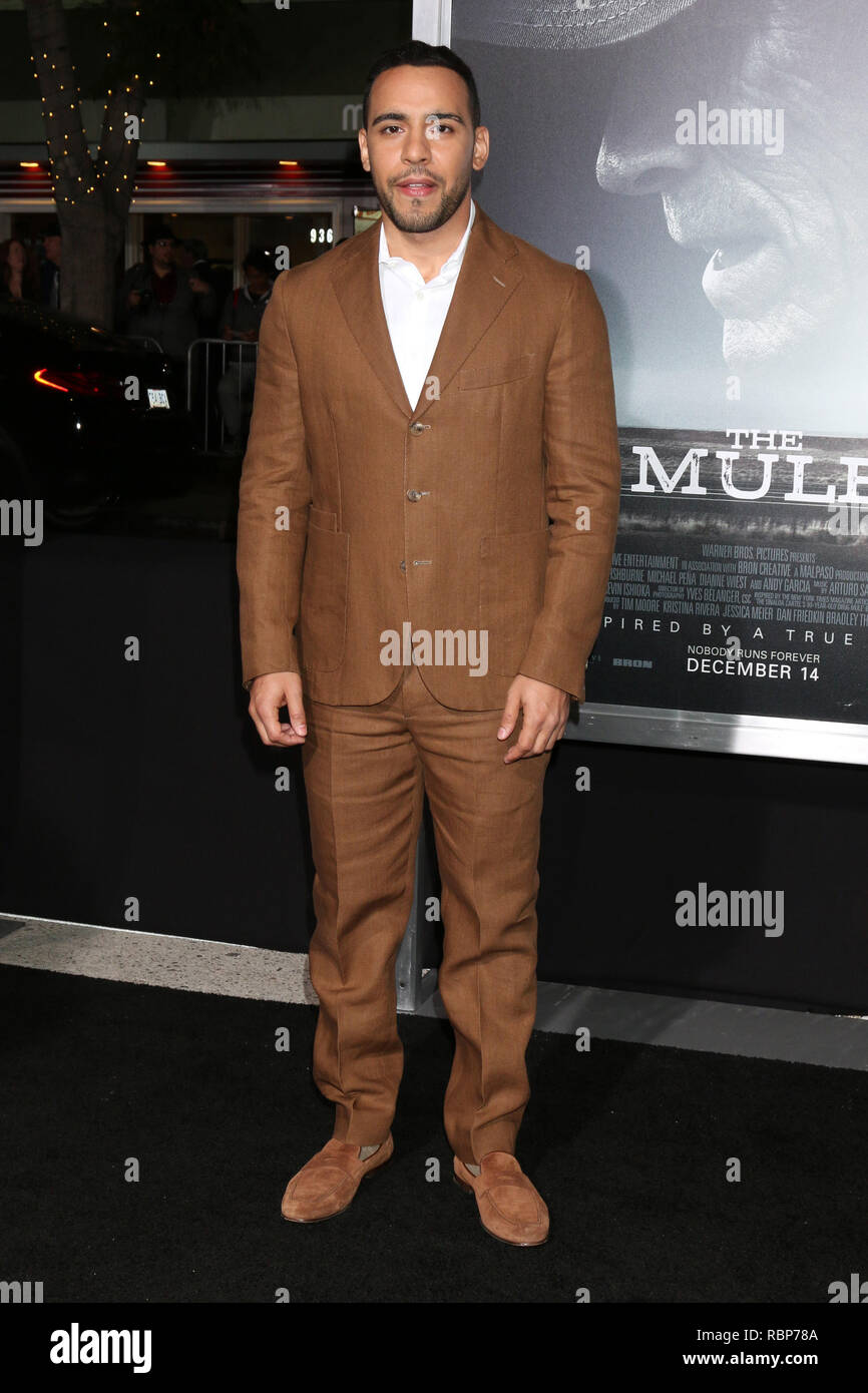 "The Mule" World Premiere at the Village Theater on December 10, 2018 ...