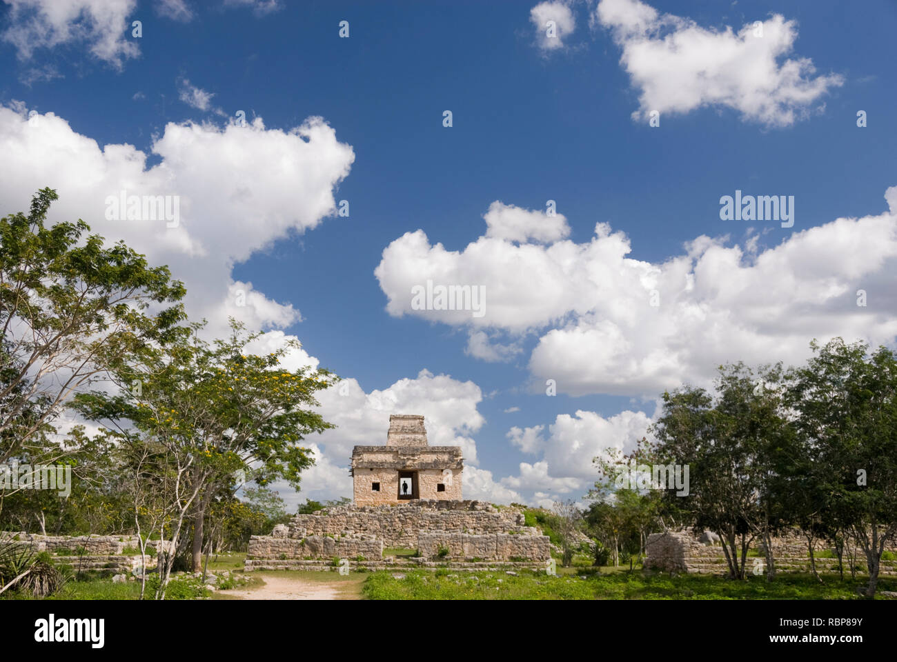 Mayan jungle hi-res stock photography and images - Alamy