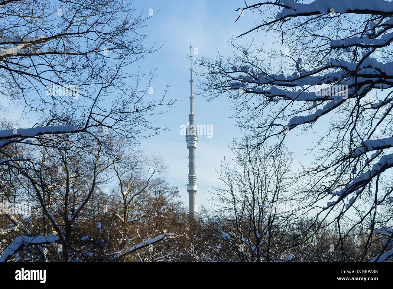 12 February 2018 Moscow, Russia. View of the Ostankino TV tower from the snow-covered Botanical ...