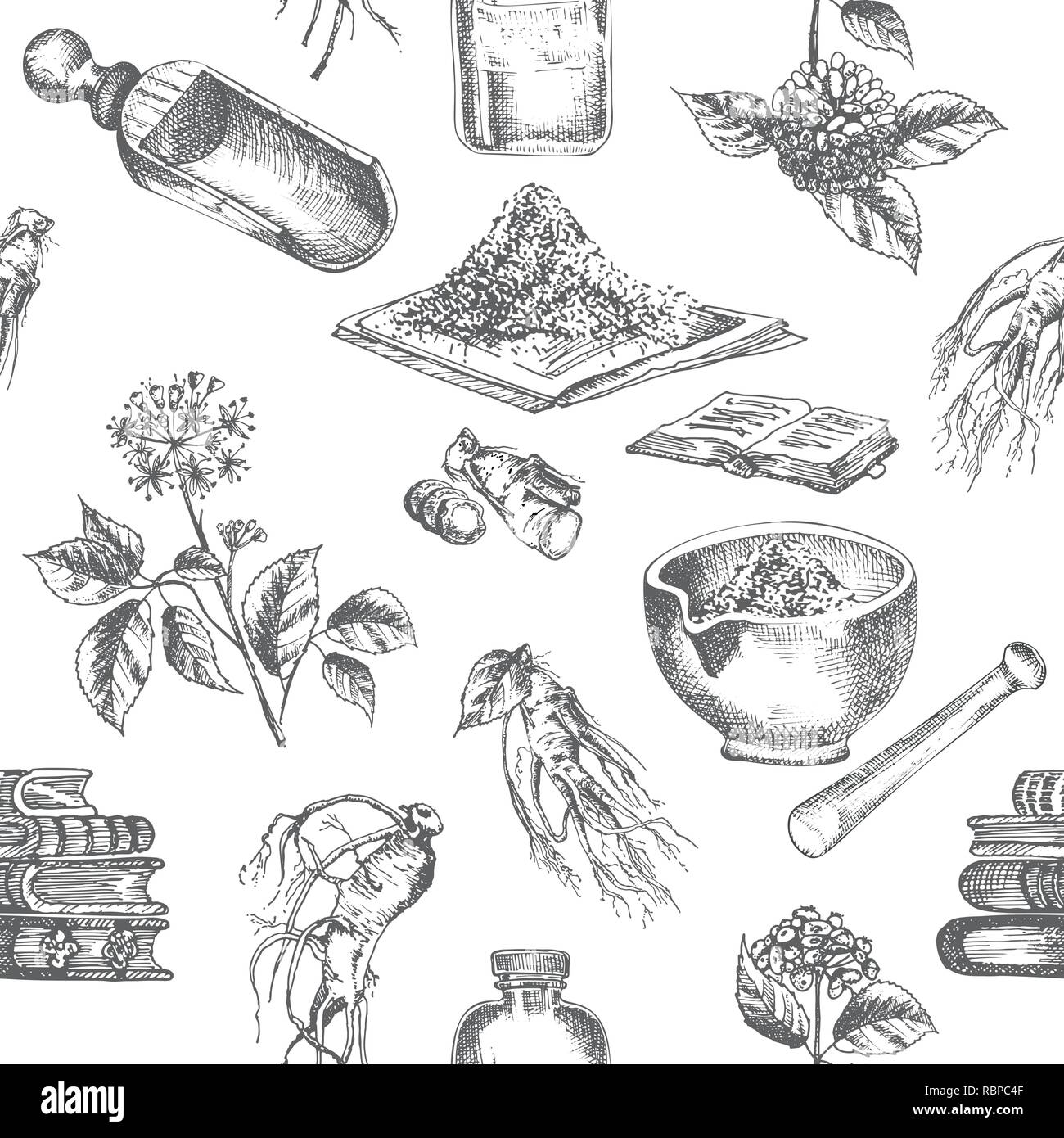 Seamless pattern hand drawn of ginseng roots, lives and flowers in ...