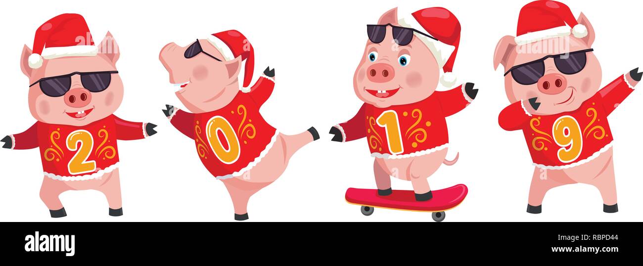 2019 year of the pig. Pigs with numbers of 2019 on white background ...