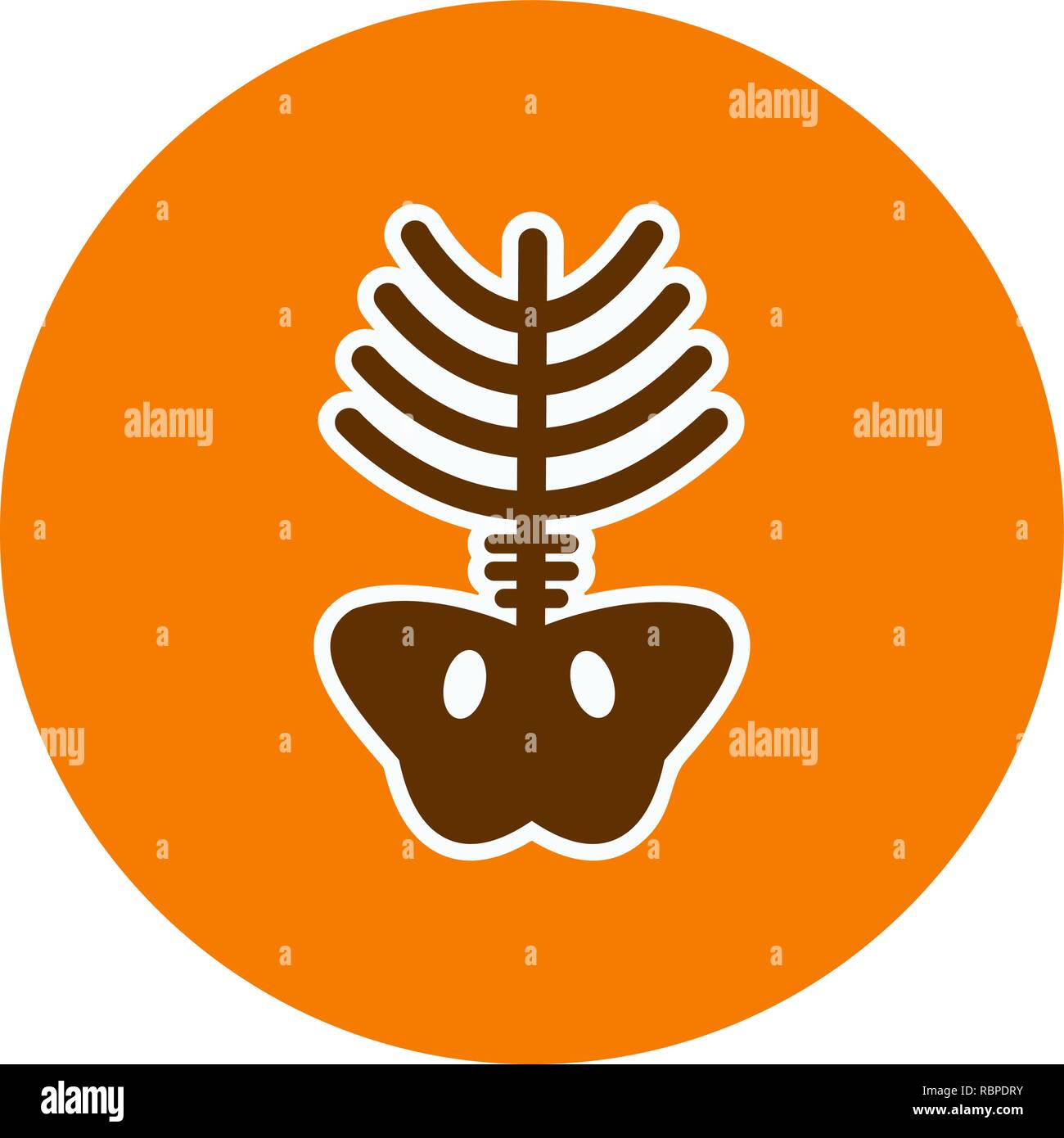 Vector Xray Icon Stock Vector Image & Art - Alamy