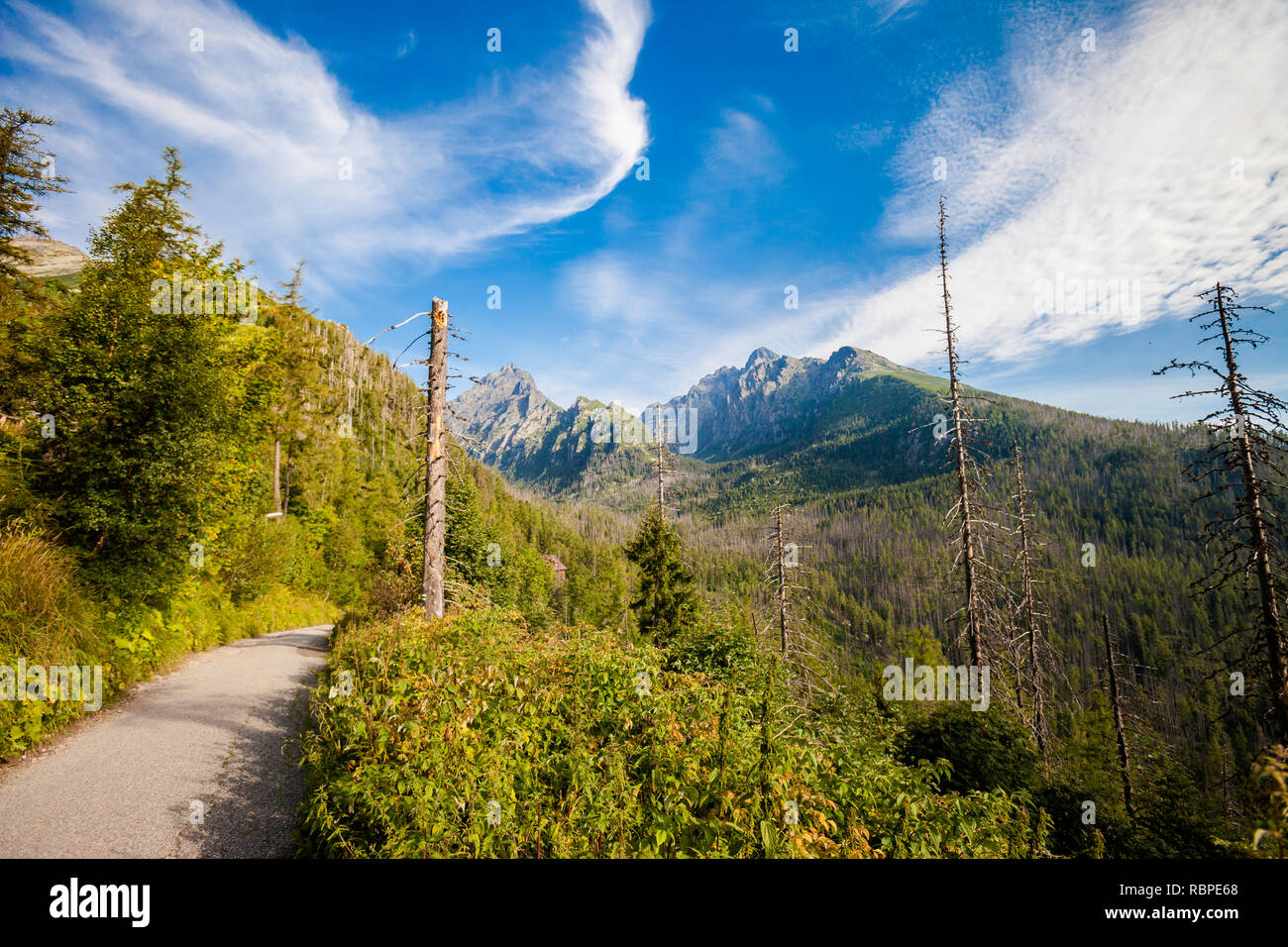 Beautiful Velka Studena Dolina - in slovakian High Tatra mountains ...