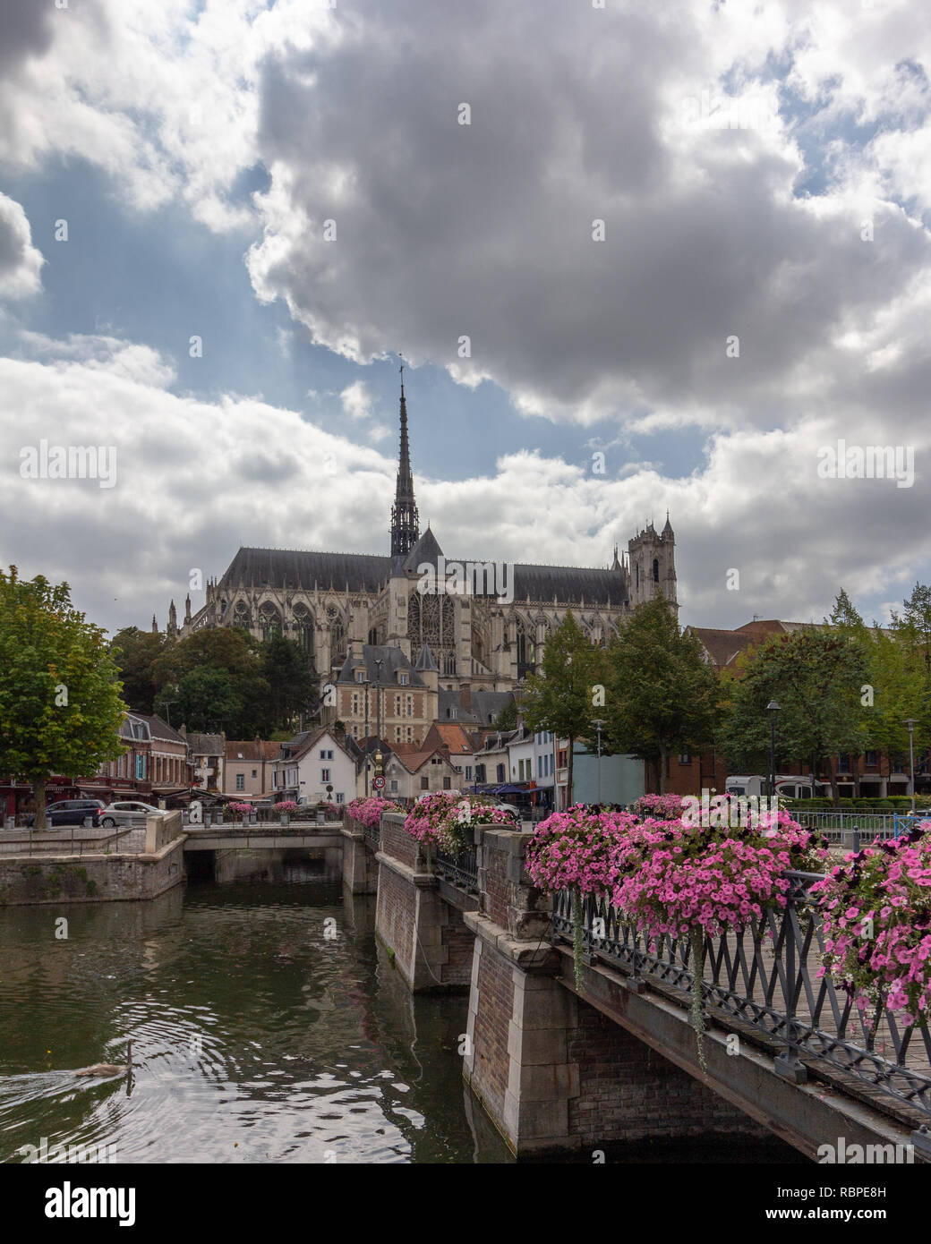 View of Notre Dame Cathedral in Amiens, France from the River Somme ...