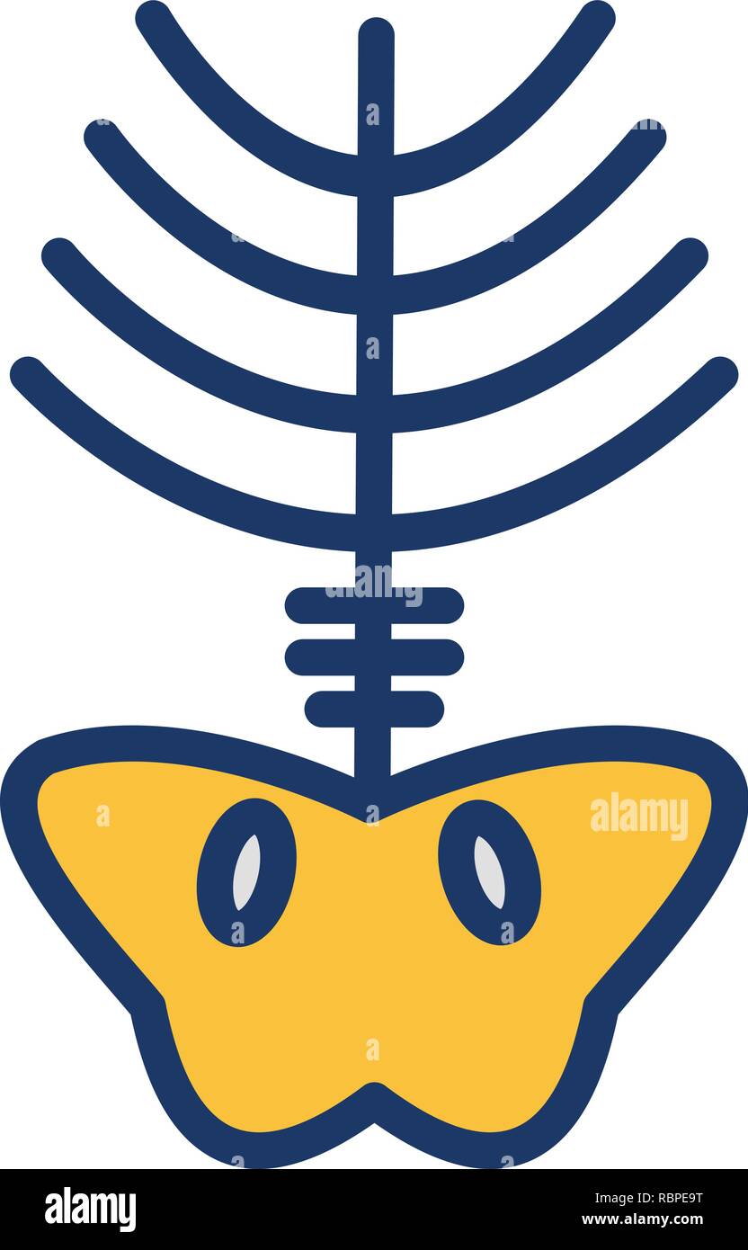 Vector Xray Icon Stock Vector Image & Art - Alamy