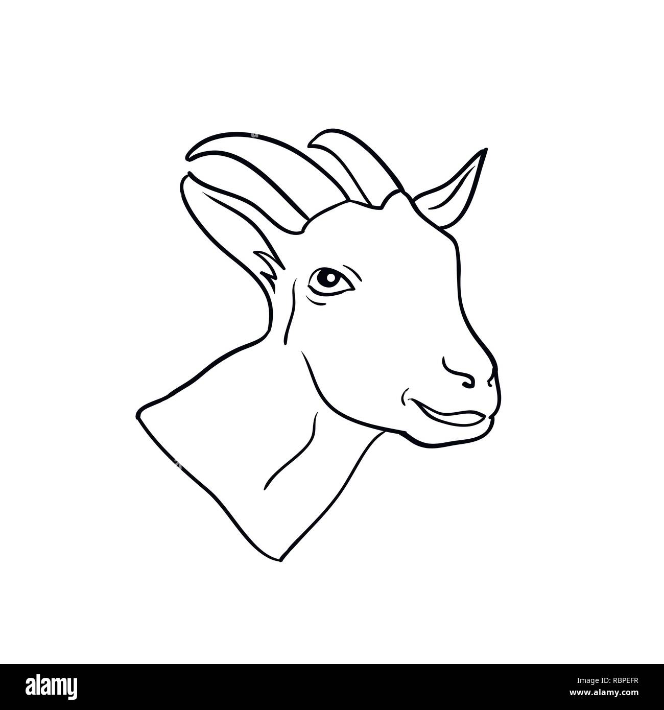 Head Goat isolated, animal drawn in line Stock Vector Image & Art - Alamy