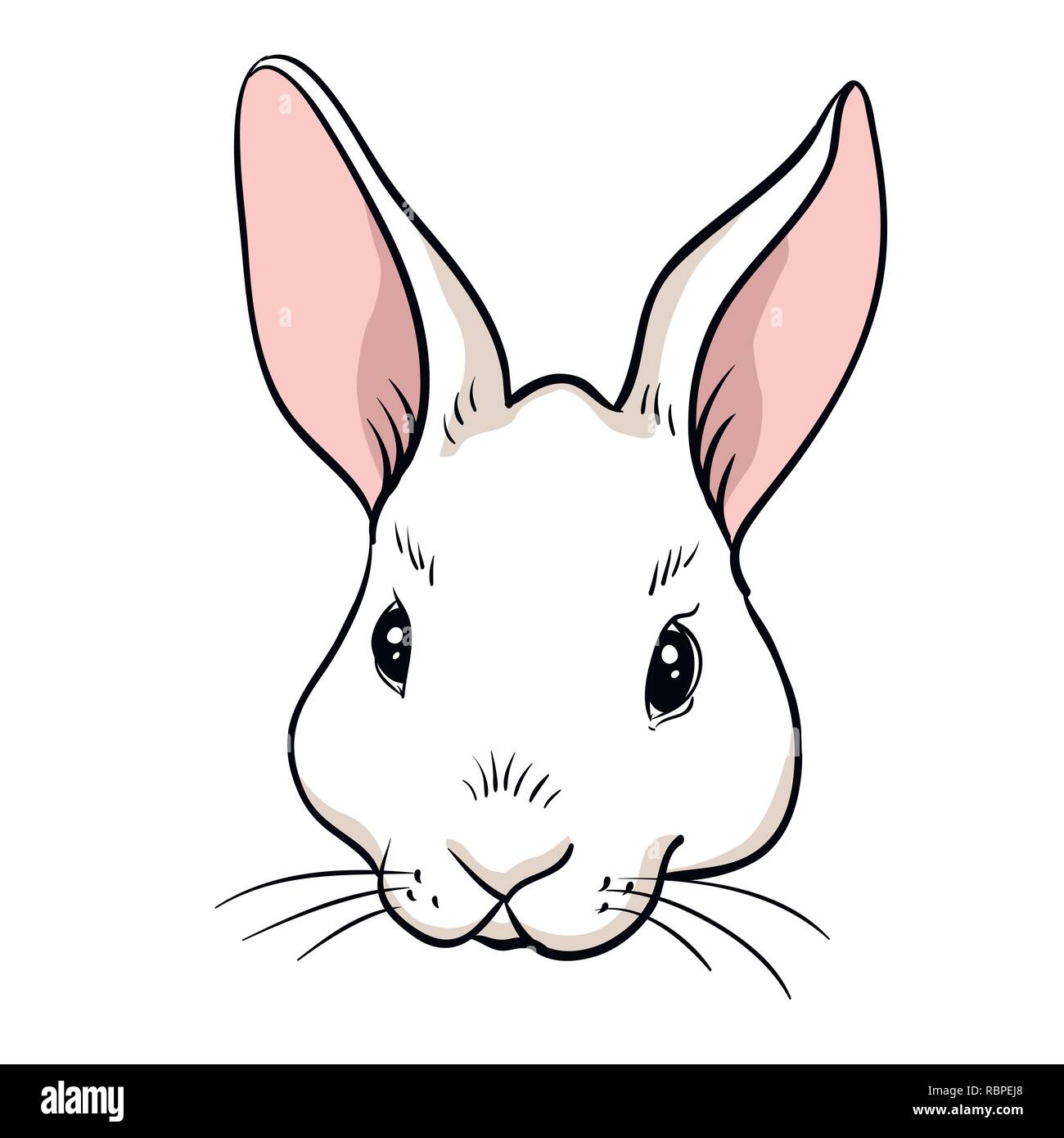 Rabbit head isolated Stock Vector Image & Art - Alamy