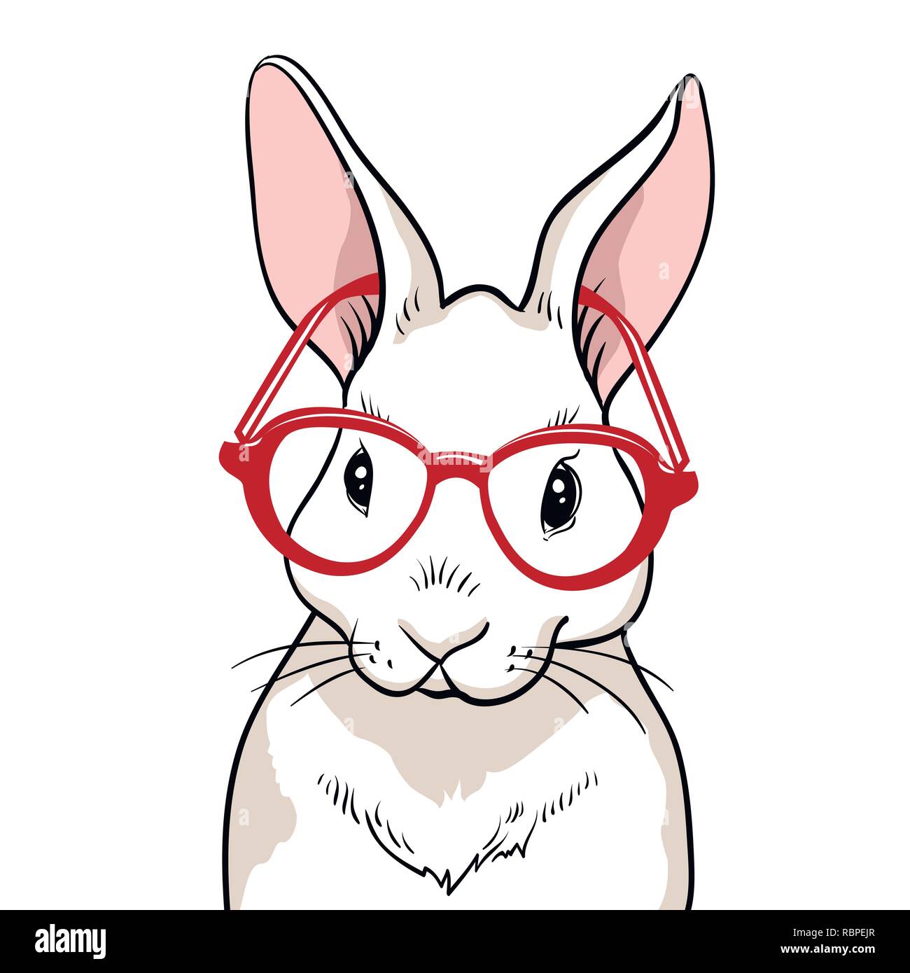 Rabbit portrait with red glasses isolated. Rabbit on a white background ...