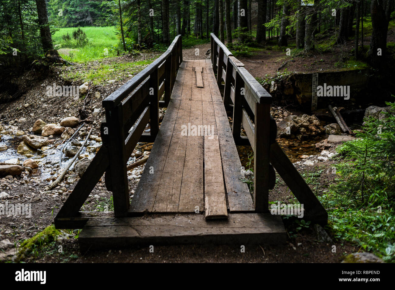 Wooden bridge in the forest Stock Photo - Alamy