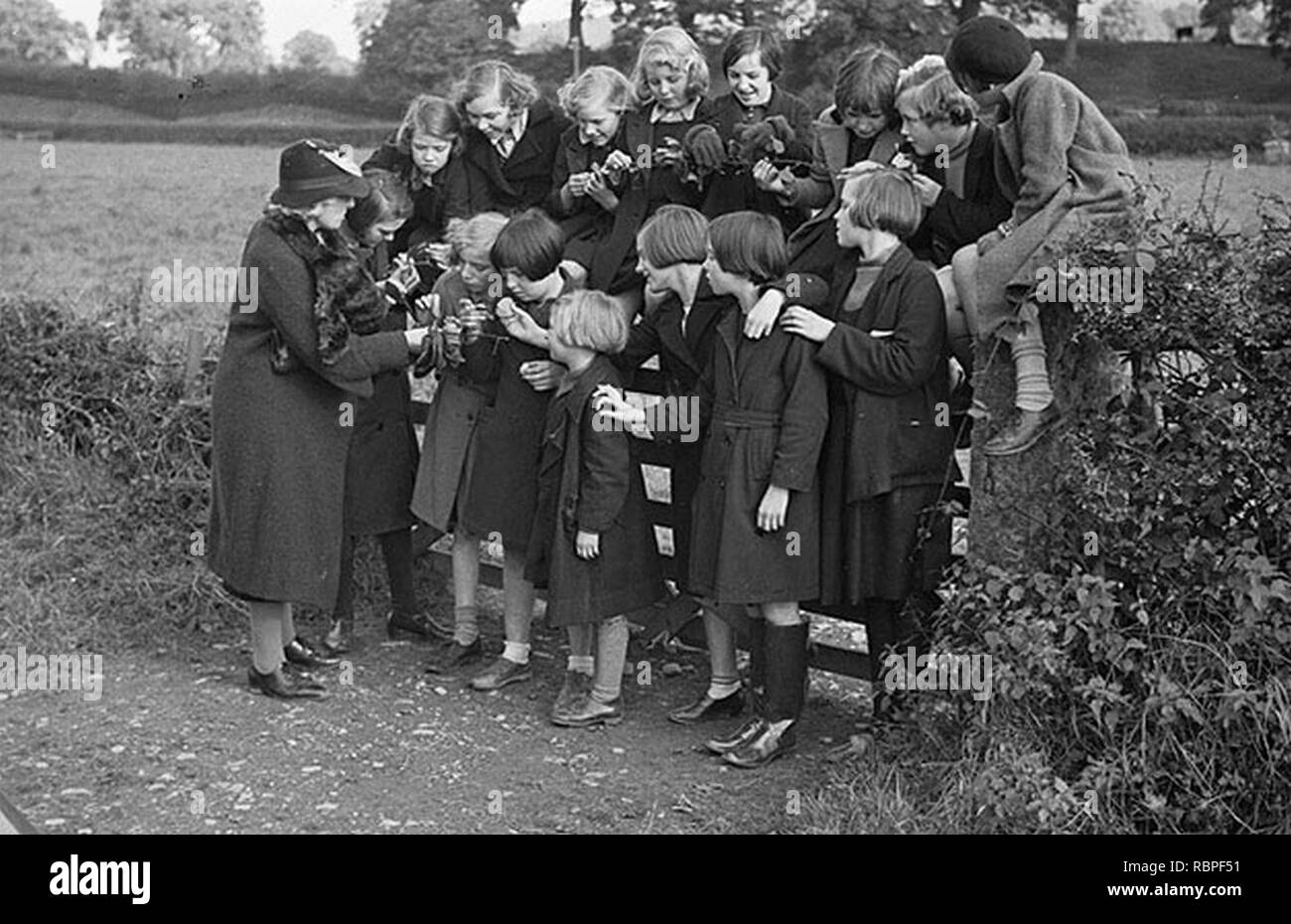 Caersws hi-res stock photography and images - Alamy