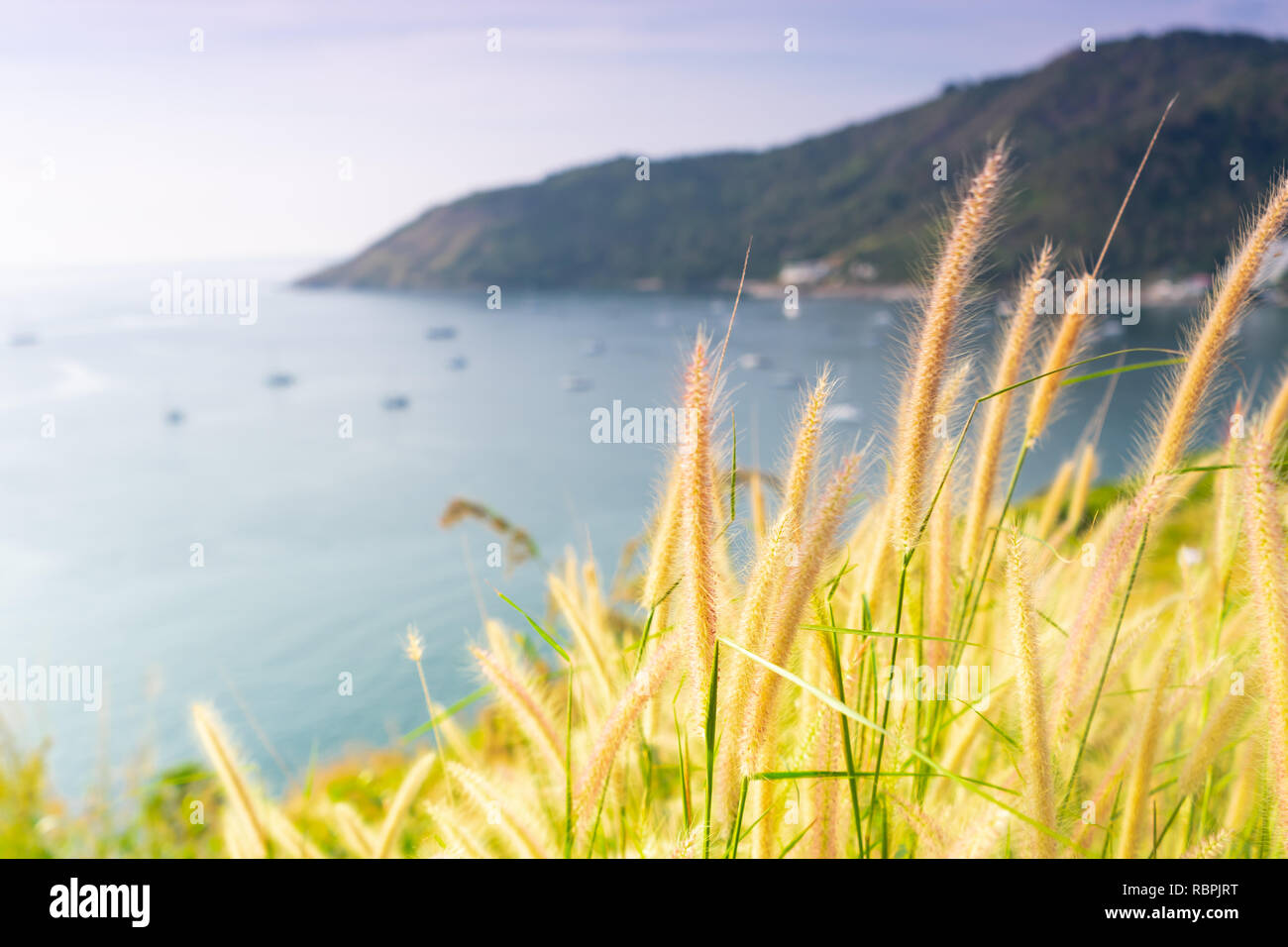 Aerial view broadbeach gold coast hi-res stock photography and images ...