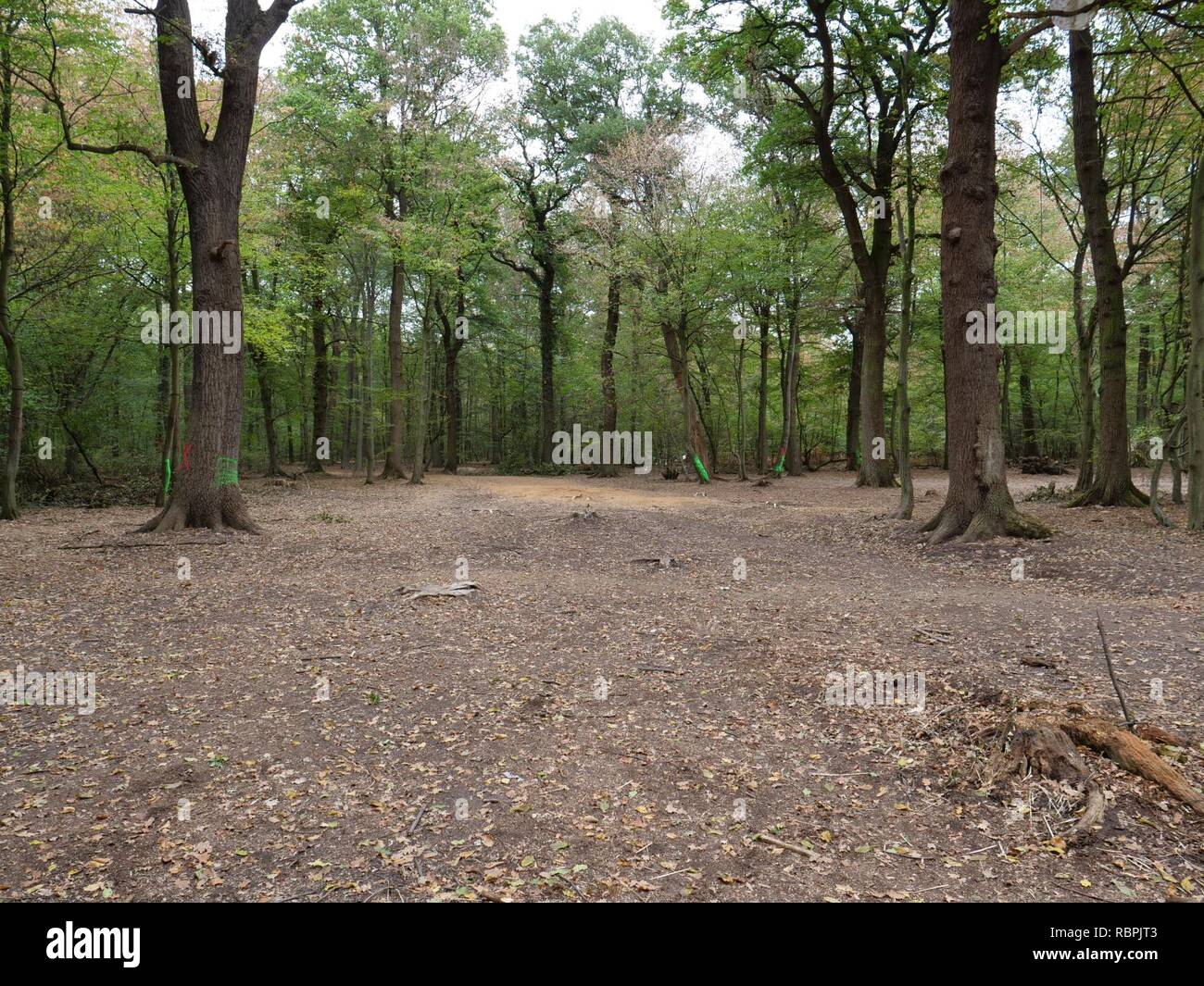 Oaktown hi-res stock photography and images - Alamy