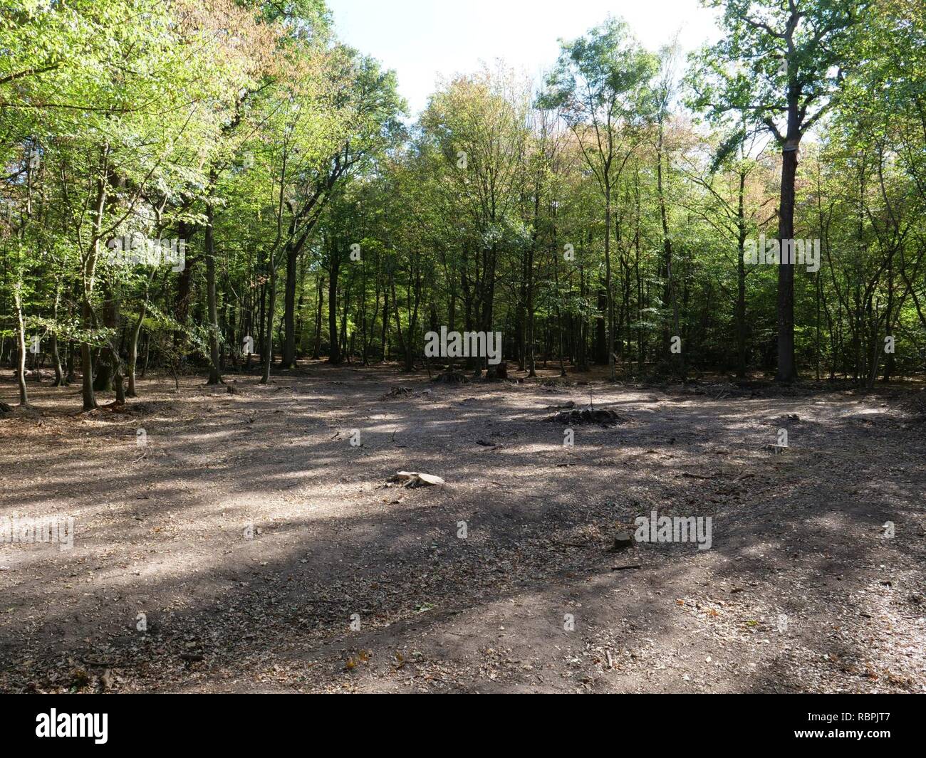 Oaktown hi-res stock photography and images - Alamy