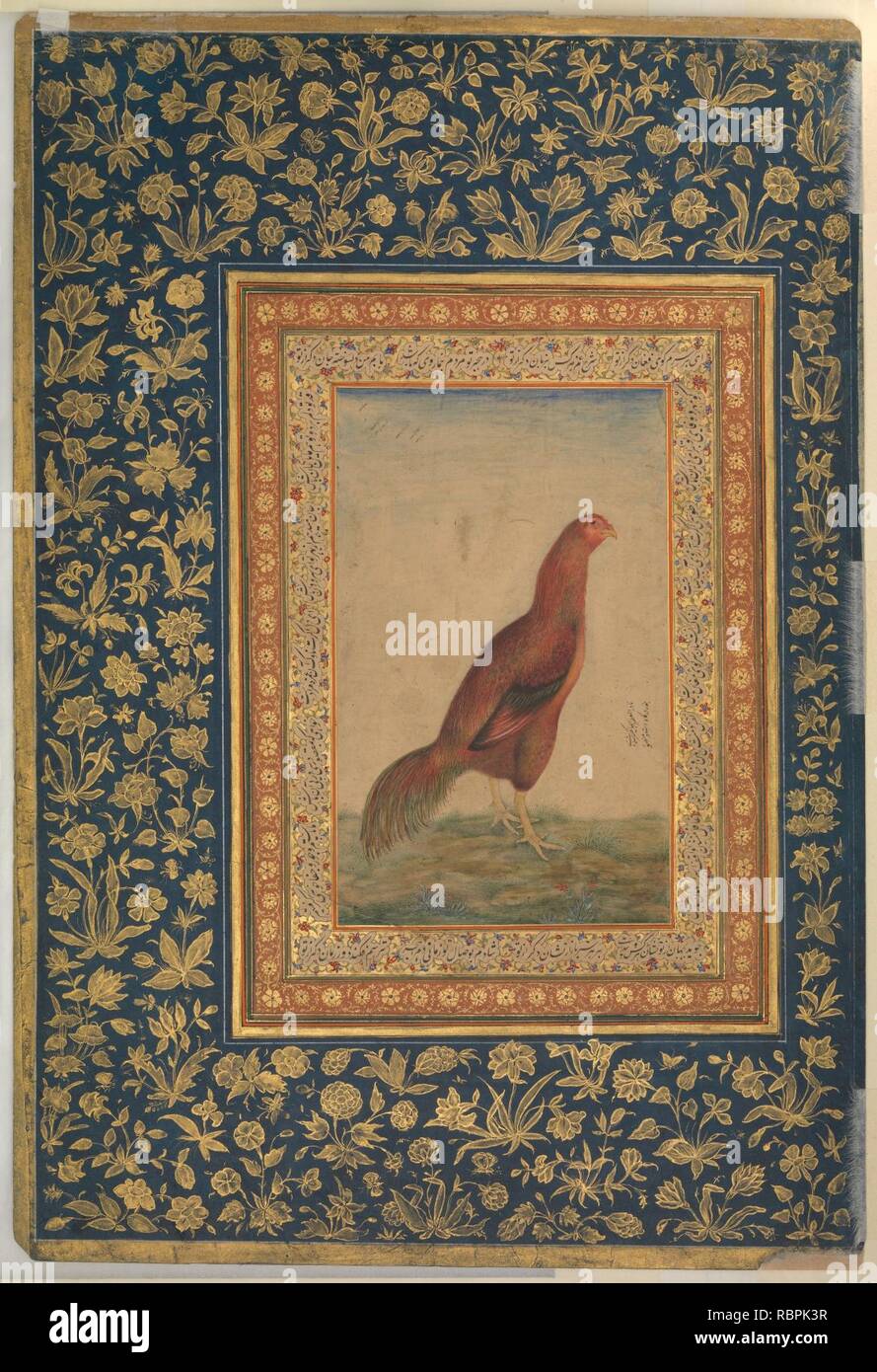 ‘Portrait of Muhammad Ali Baig‘, Folio from the Shah Jahan Album Stock ...