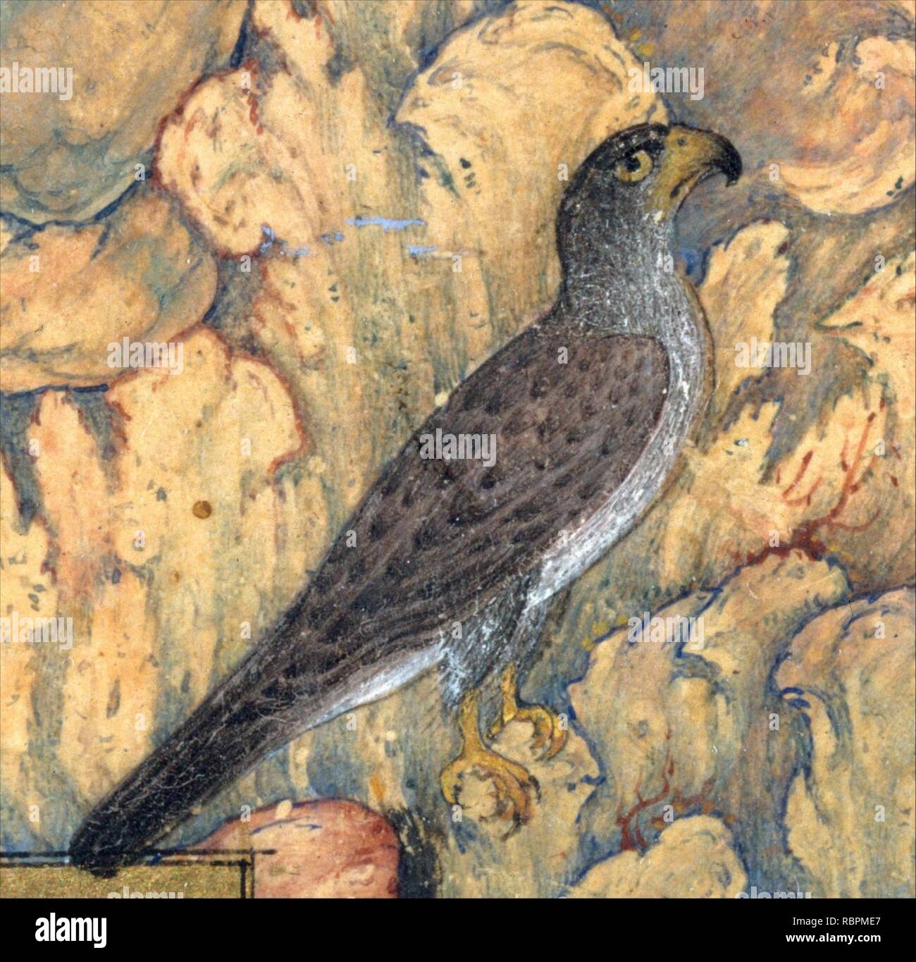 ‘The Concourse of the Birds‘, Folio 11r from a Mantiq al-tair (Language ...