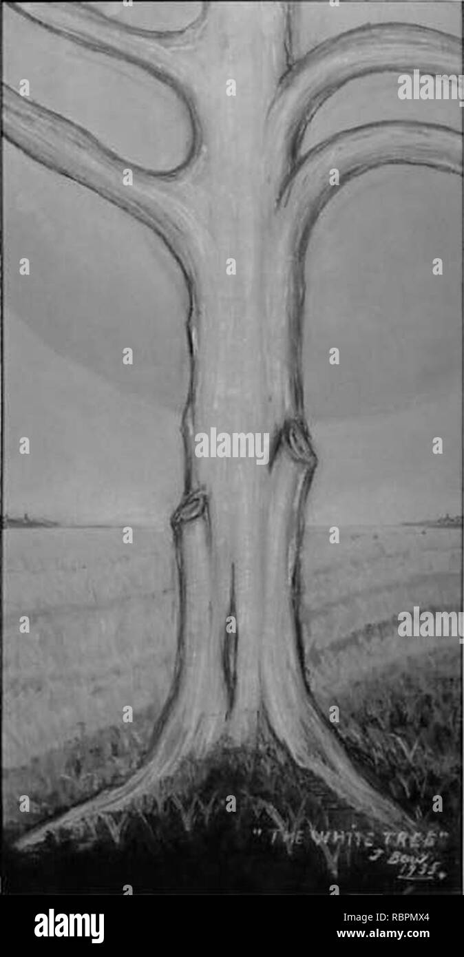 ‘The White Tree‘ Stock Photo - Alamy