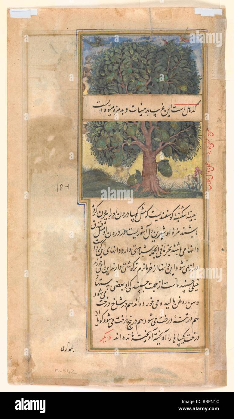 ‘Three Trees of India‘, Folio from a Baburnama (Autobiography of Babur ...