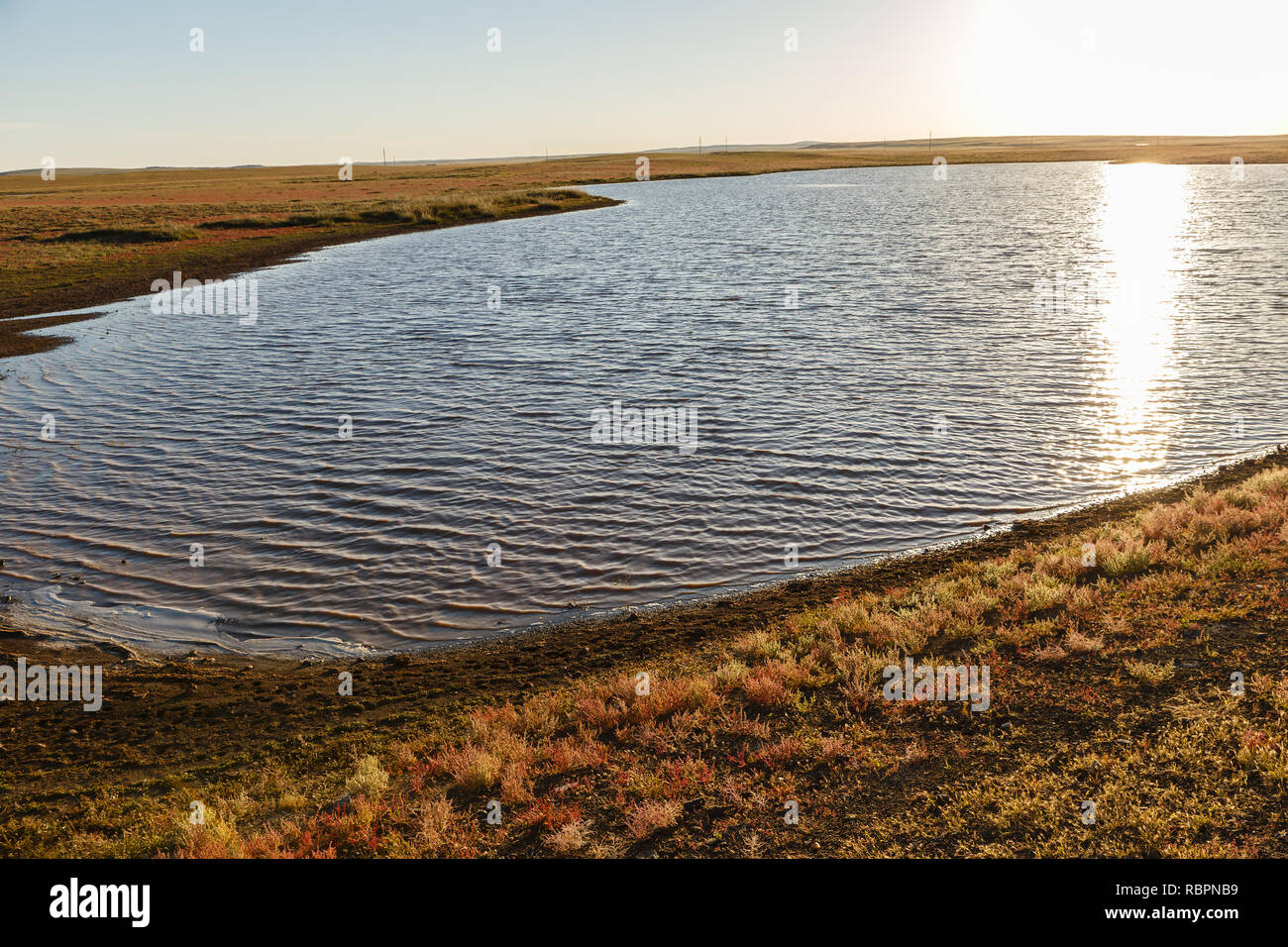 a small lake in the mongolian steppe, Mongolian landscape Stock Photo ...