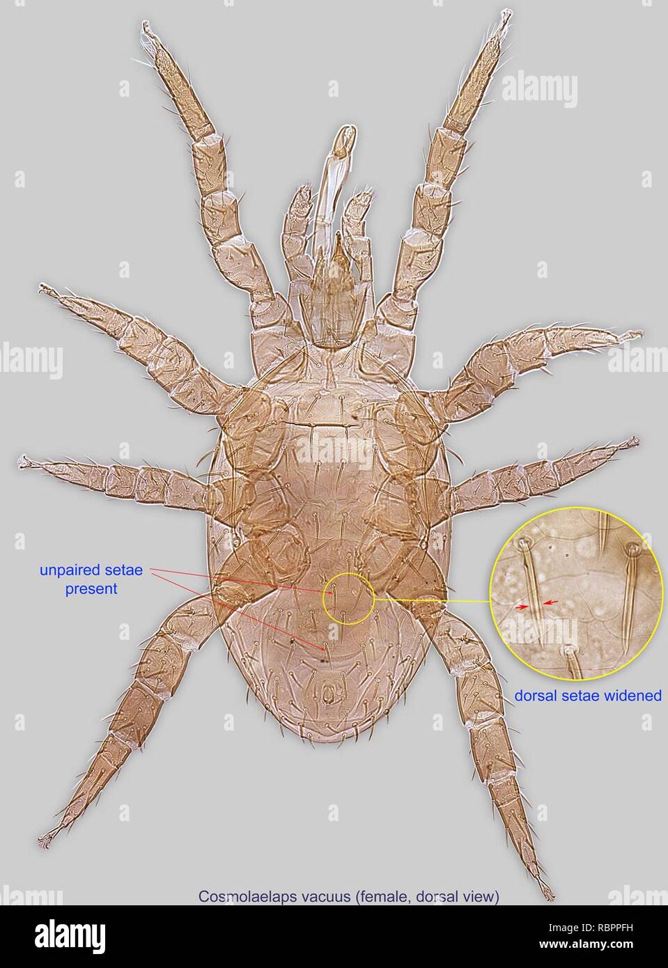 Vacuus hi-res stock photography and images - Alamy