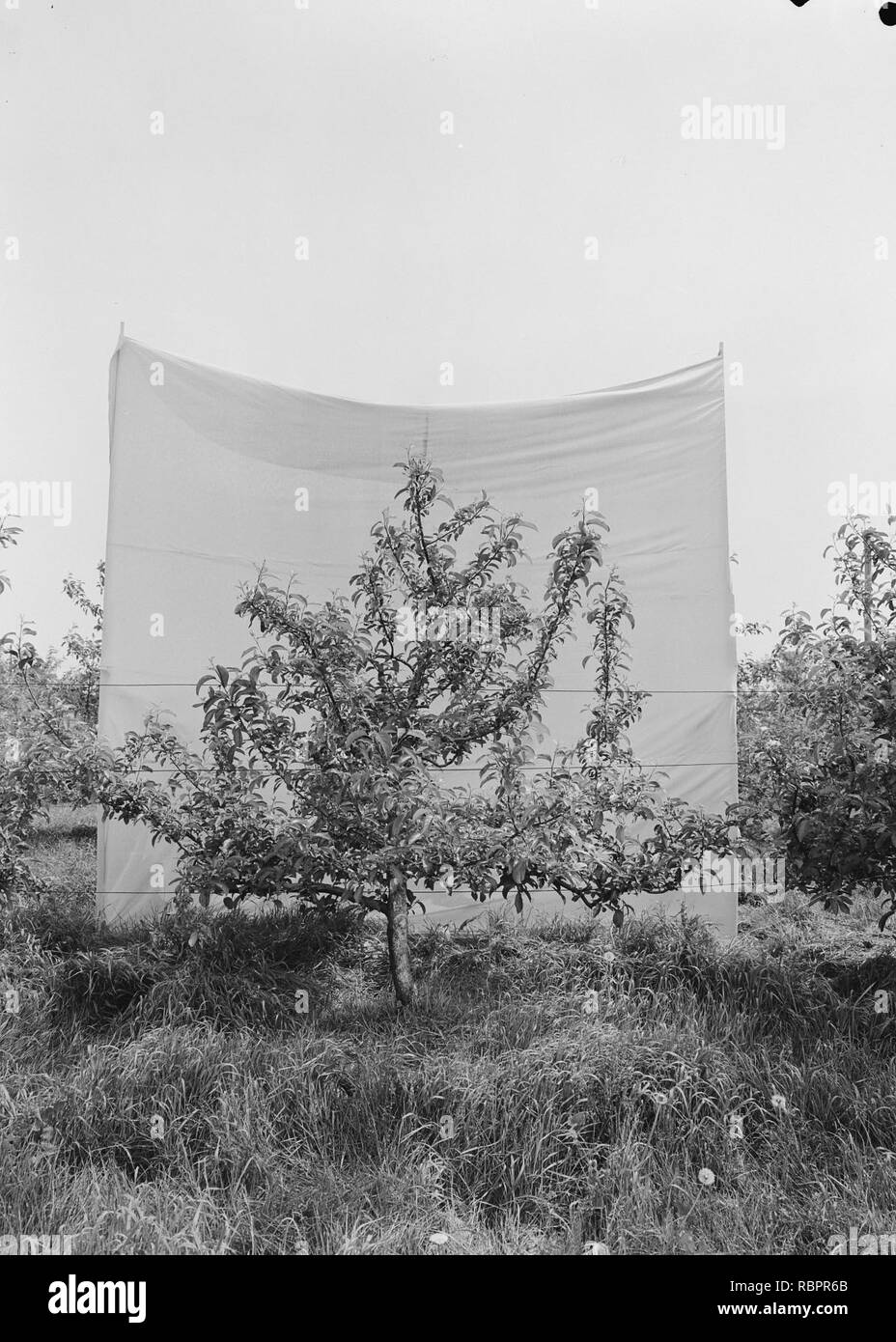 10 jaar Black and White Stock Photos & Images - Alamy