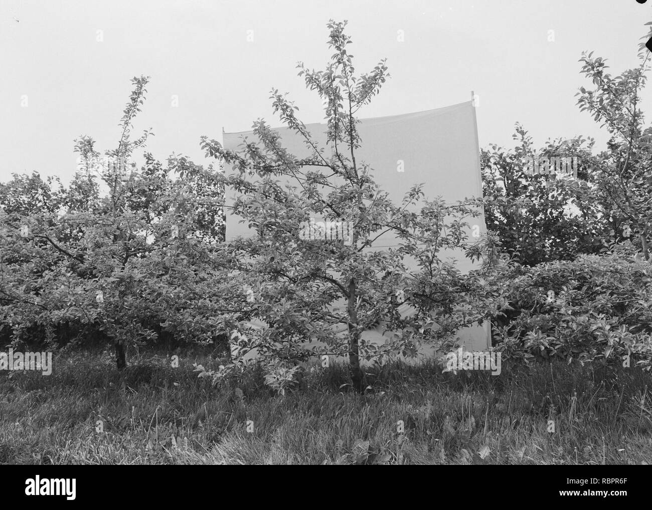 10 jaar Black and White Stock Photos & Images - Alamy