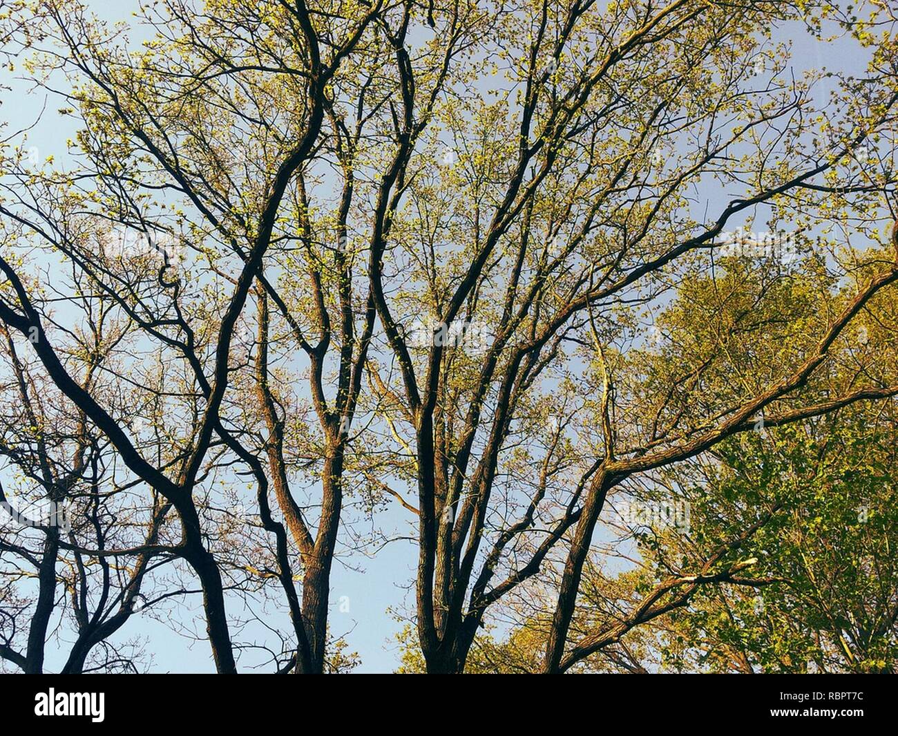 Cc0 image hi-res stock photography and images - Alamy